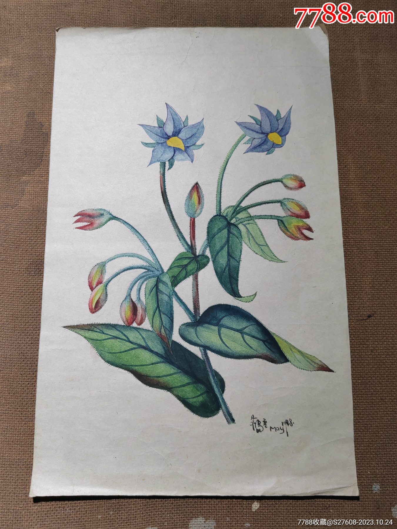 山东名家1948年张鹤云手绘水彩画包真包老 价格 2000元 se96909851 水粉 水彩原画 零售 7788收藏 收藏热线