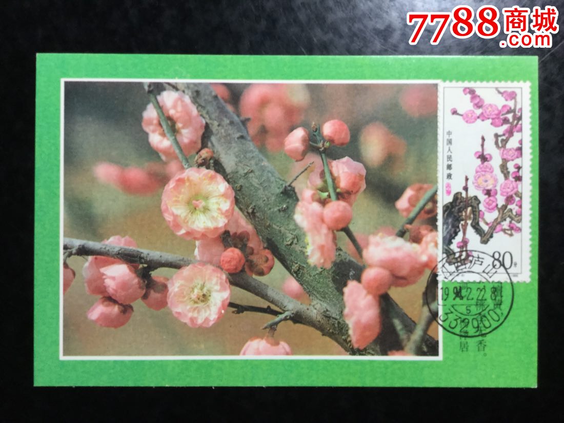 T103-6.梅花.-价格:12元-se55330781-明信片/邮资片-零售-7788收藏__收藏热线
