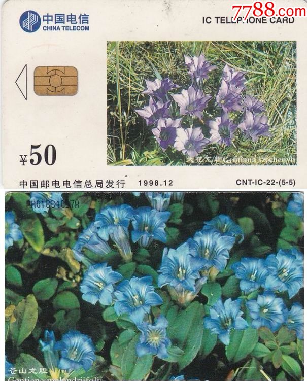 国卡IC卡－高山植物－大花龙胆和苍山龙胆(CNT-IC-22(5-5))_东方卡吧【7788商城__七七八八商品交易平台(7788.com)】