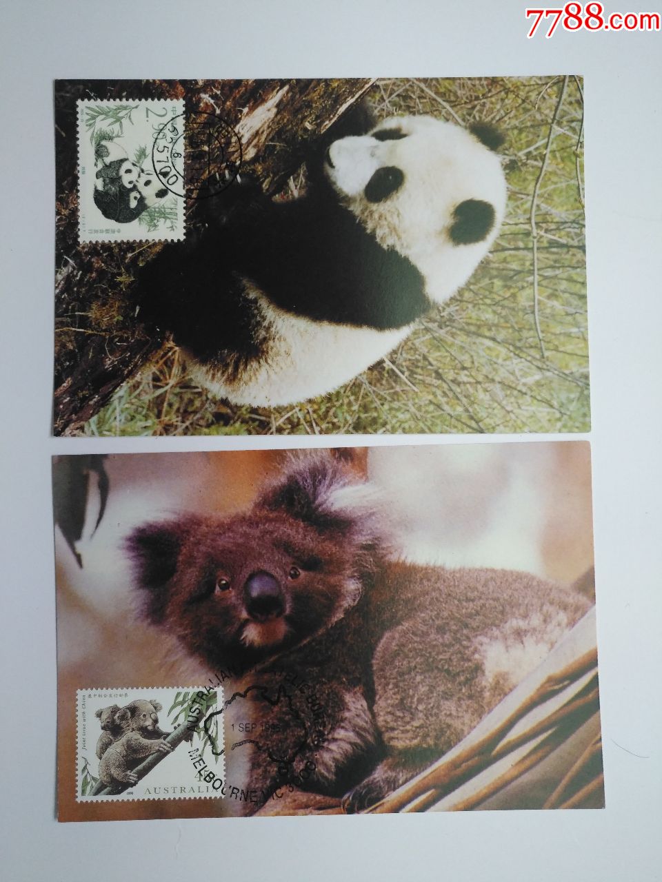 MC23熊猫极限明信片一套2枚-价格:6元-se72075636-明信片/邮资片-零售-7788收藏__收藏热线