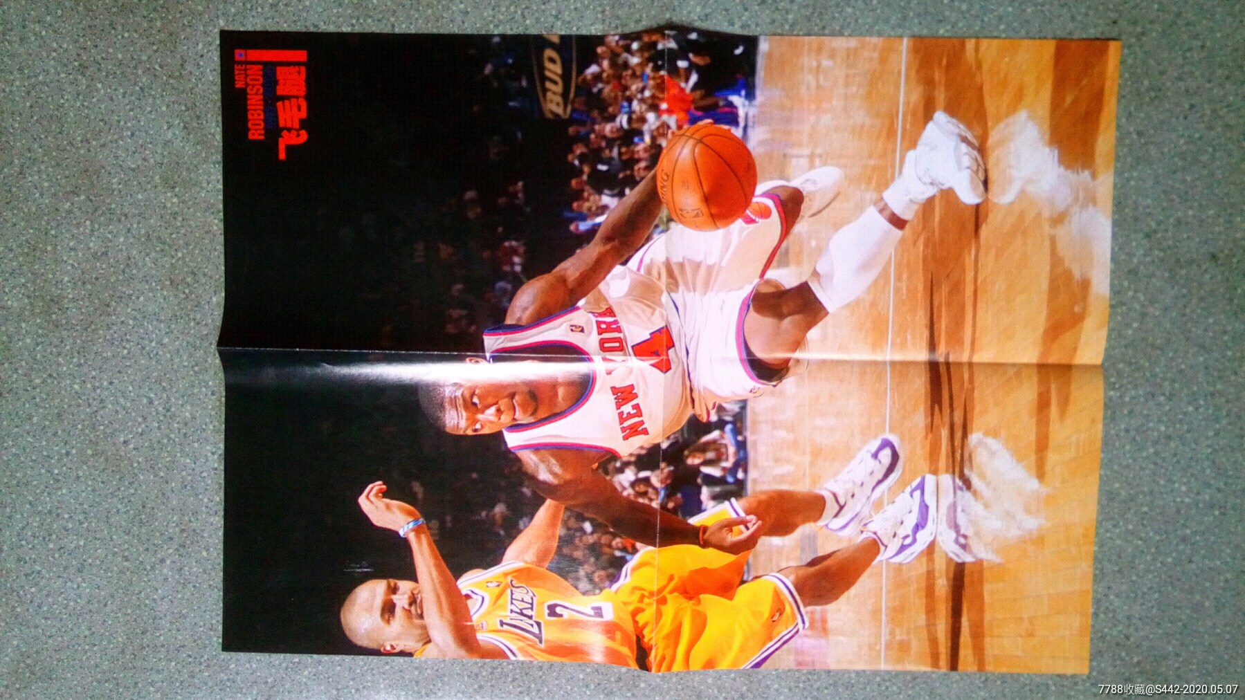 篮球海报--罗宾逊/布泽尔(NBA复古海报珍藏版63)4开_字画_集藏天地【7788收藏__收藏热线】