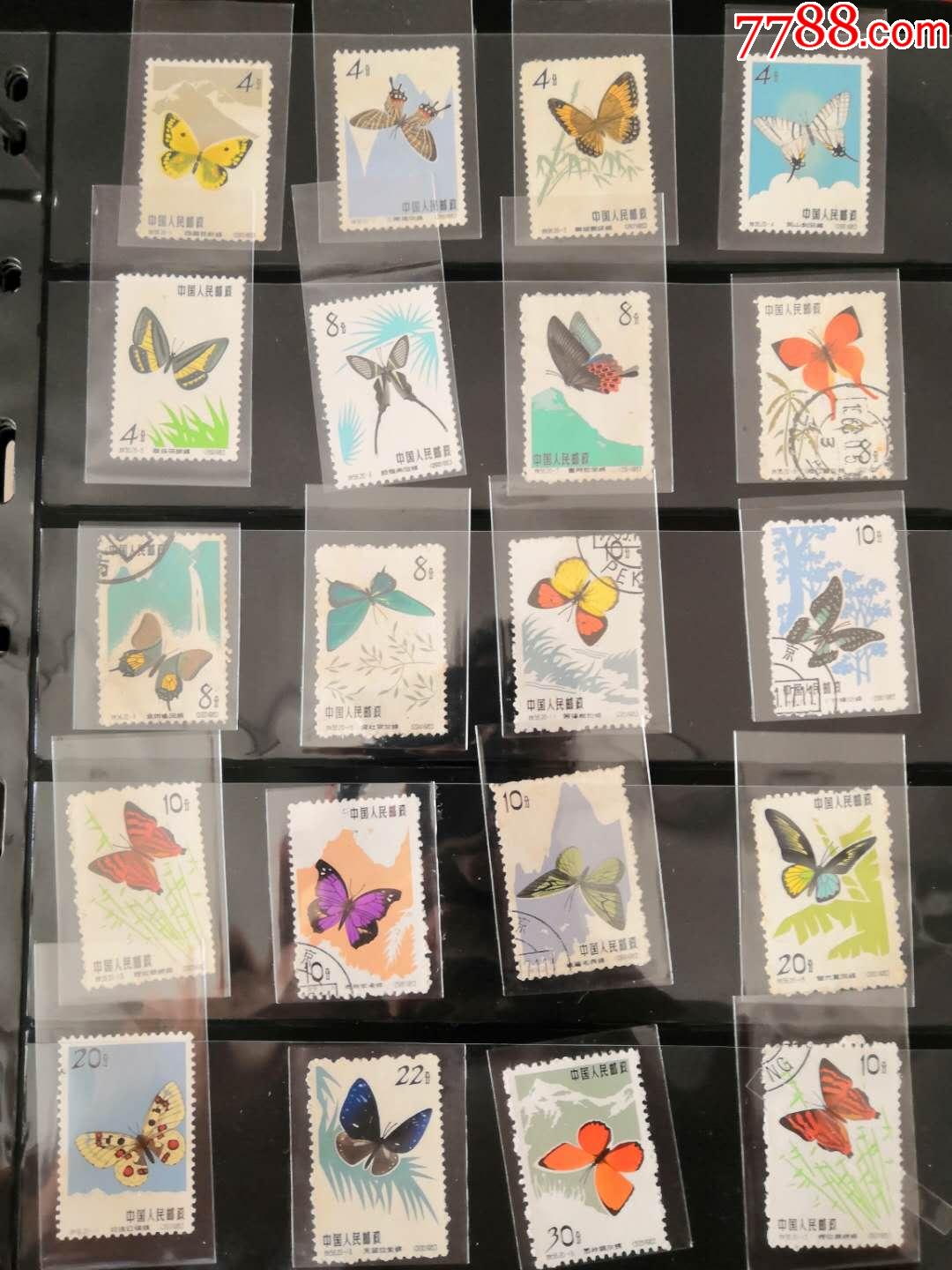 特-56蝴蝶_新中国邮票_酉谷粒【7788收藏__收藏热线】