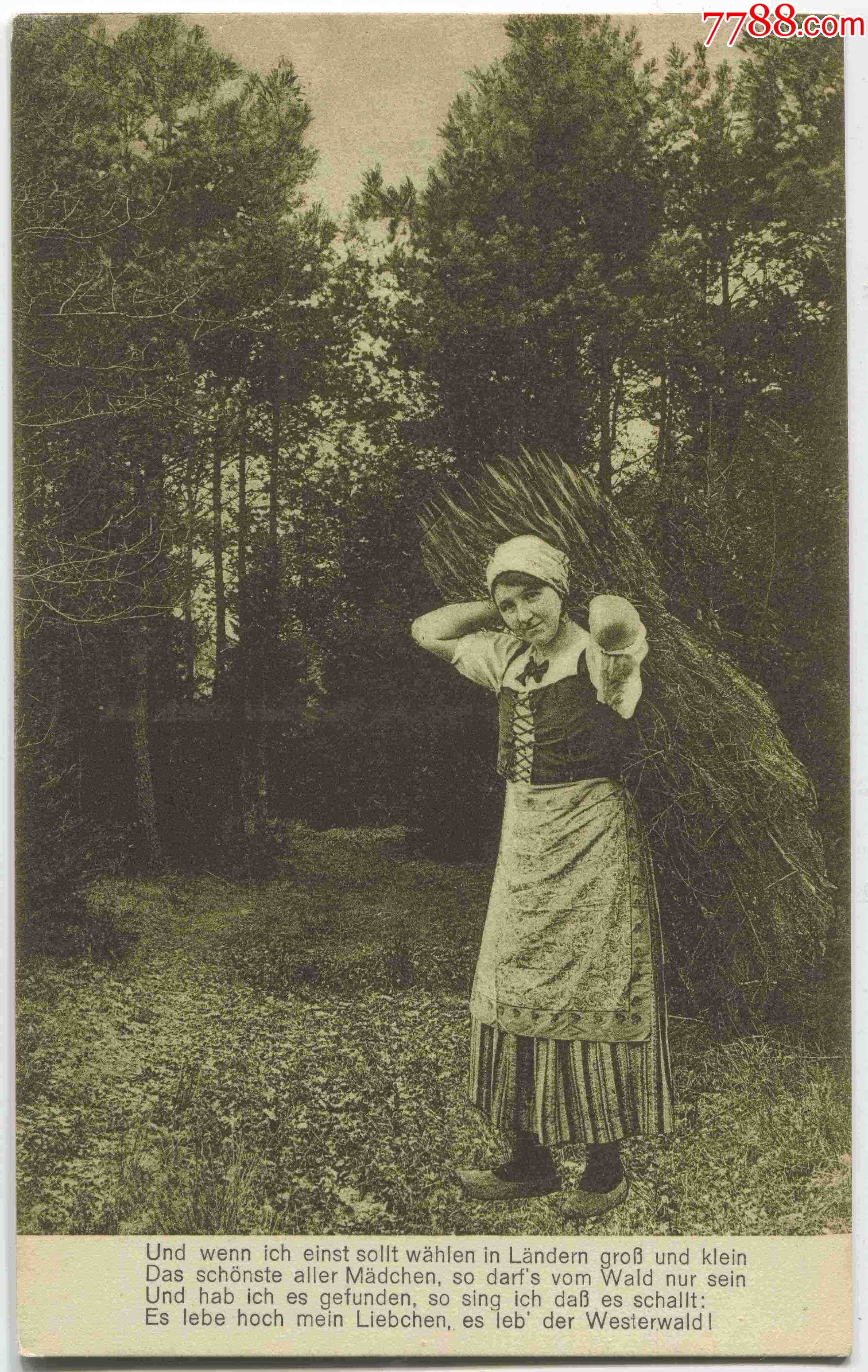 早期1900-40s空白明信片背着柴捆的妇女CARD-B-32-价格:15元-se76974002-明信片/邮资片-零售-7788收藏__收藏热线