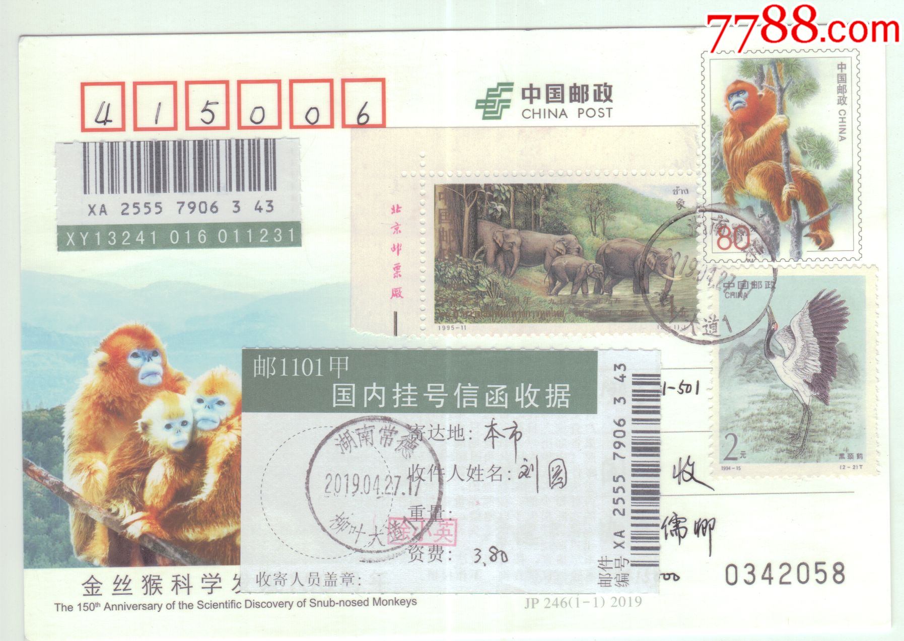 JP246“金丝猴科学发现150周年”本埠首日挂号实寄_明信片/邮资片_图片欣赏_收藏价值_7788明信片收藏