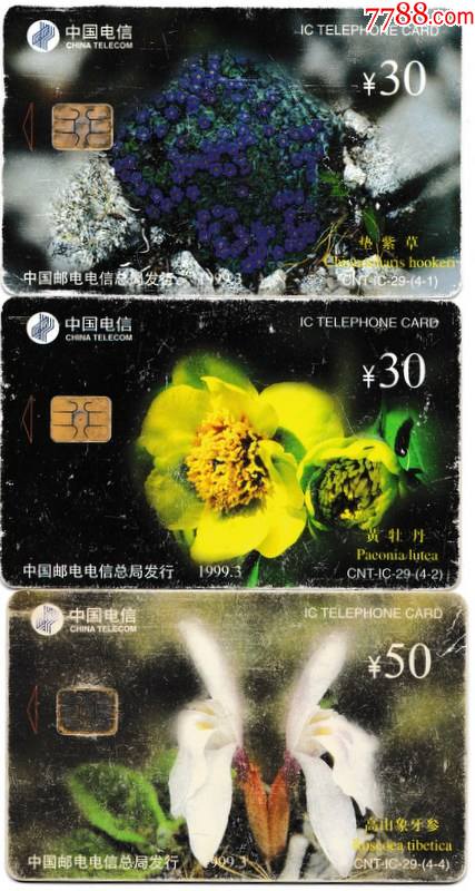 IC-29-价格:6元-se81162049-电话IC卡-零售-7788收藏__收藏热线