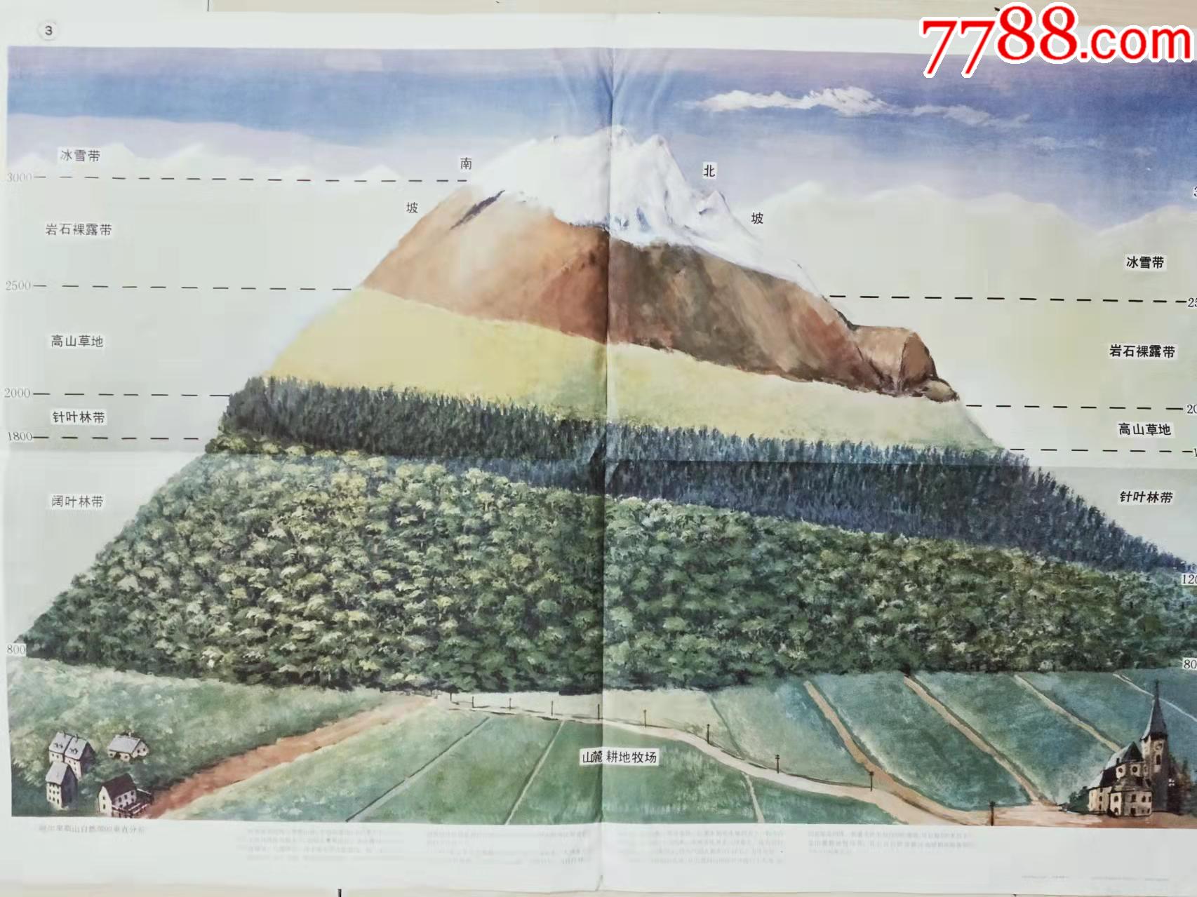 中学地理教学挂图：阿尔卑斯山自然带的垂直分布-价格:5元-se83659185-教学挂图-零售-7788收藏__收藏热线