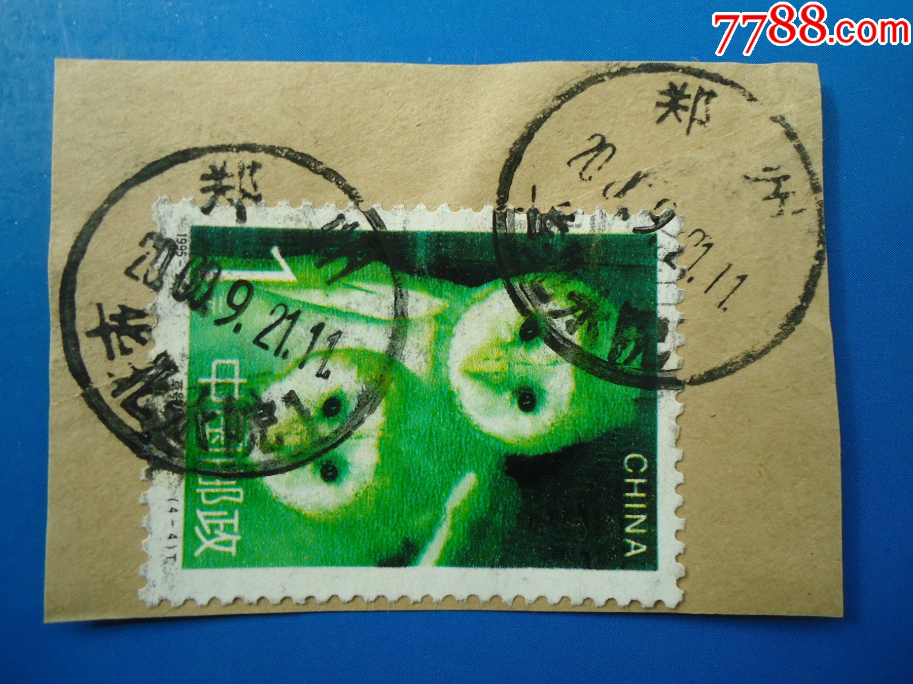 1995—5（4—4）《草鸮》，盖：郑州华北水院_“T”字邮票_百姓乐集藏【7788收藏__收藏热线】