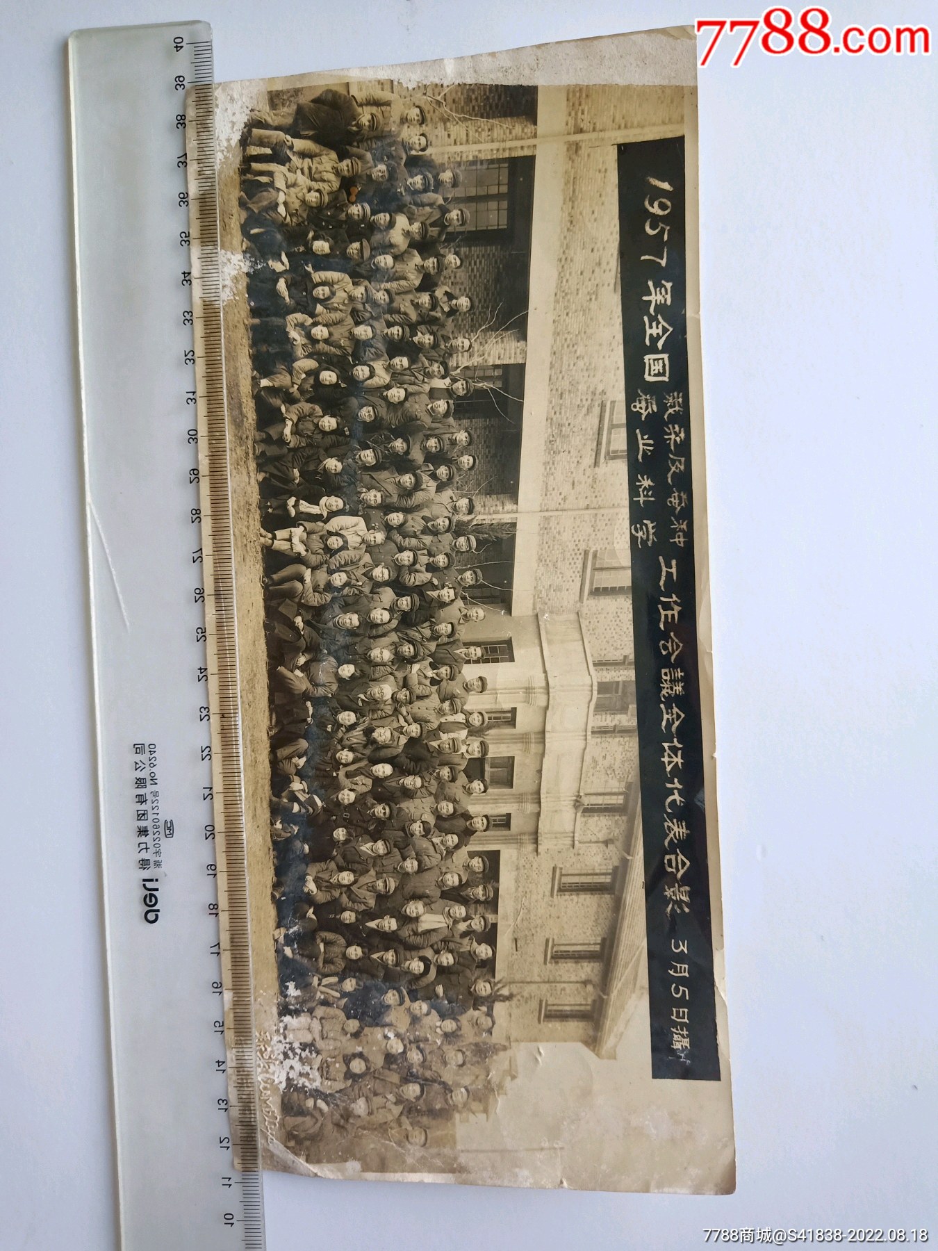 蚕桑文献孤品1957年全国栽培及蚕种蚕业科学会议留影老照片_老照片_江苏扬子艺林馆【7788收藏__收藏热线】