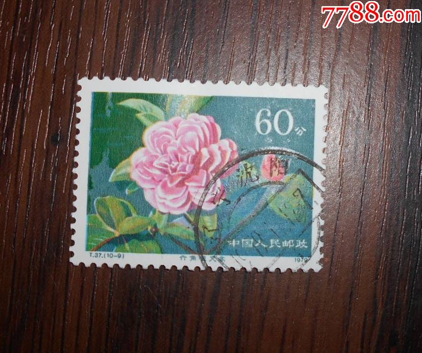 T37山茶花10-9邮票信销上品_新中国邮票_博凯集藏【7788收藏__收藏热线】