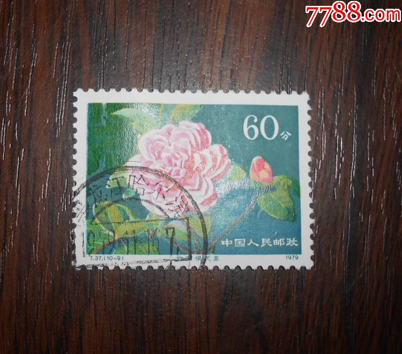 T37山茶花10-9邮票信销上品_新中国邮票_博凯集藏【7788收藏__收藏热线】