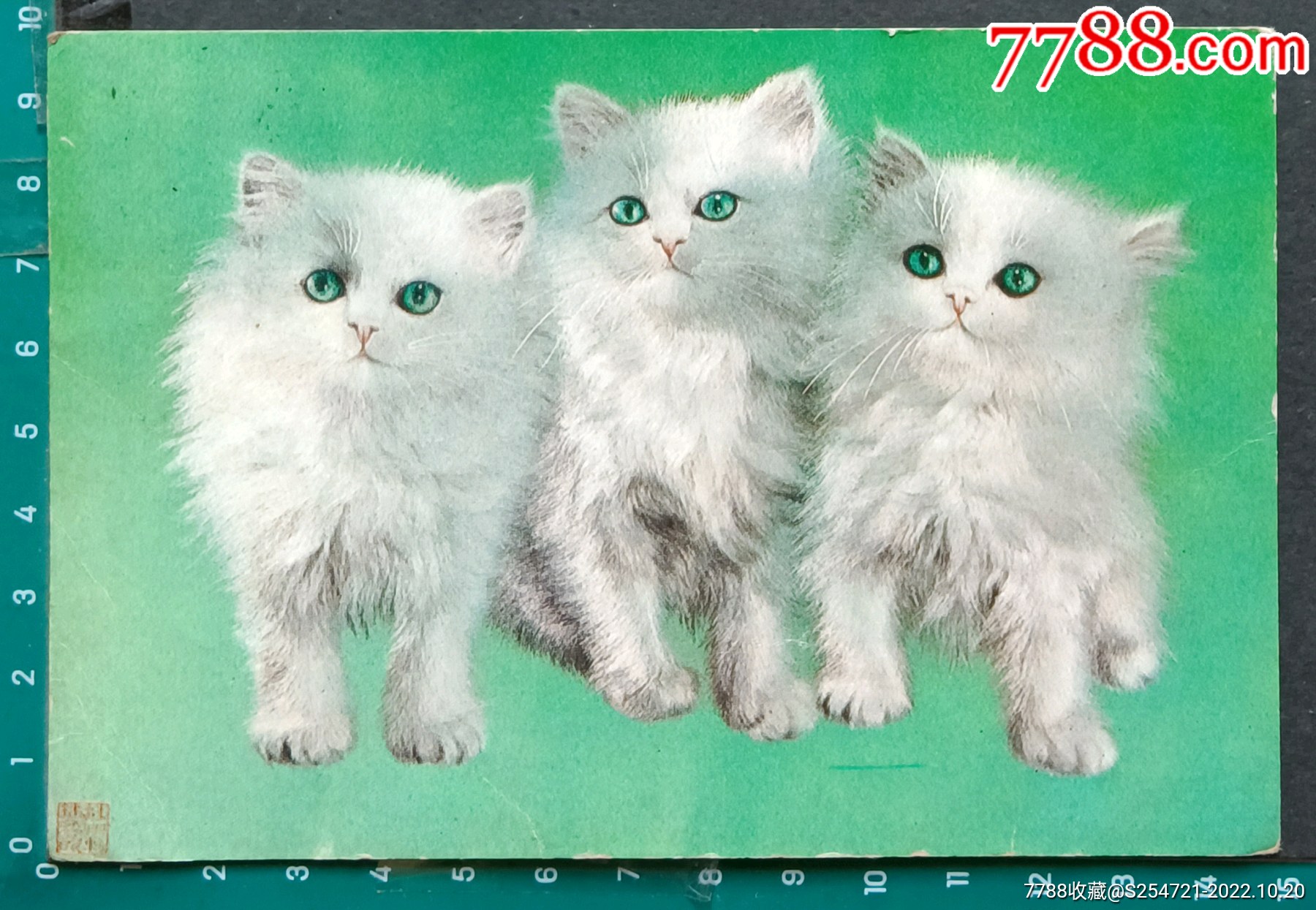 三猫明信片，1982年重庆寄成都_明信片/邮资片_新成都【7788收藏__收藏热线】