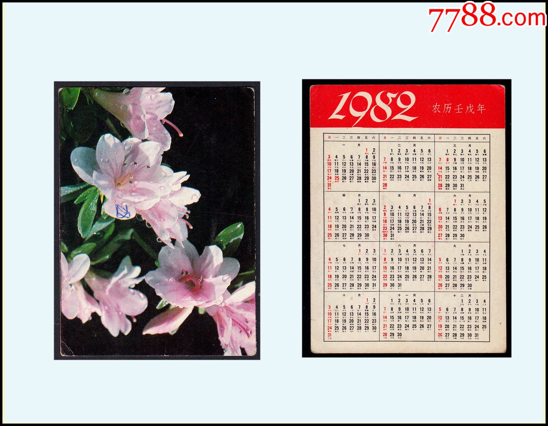 1982年历片《花卉》单枚价：品相漂亮。谢绝还价。_年历卡_上海益民邮社【7788收藏__收藏热线】