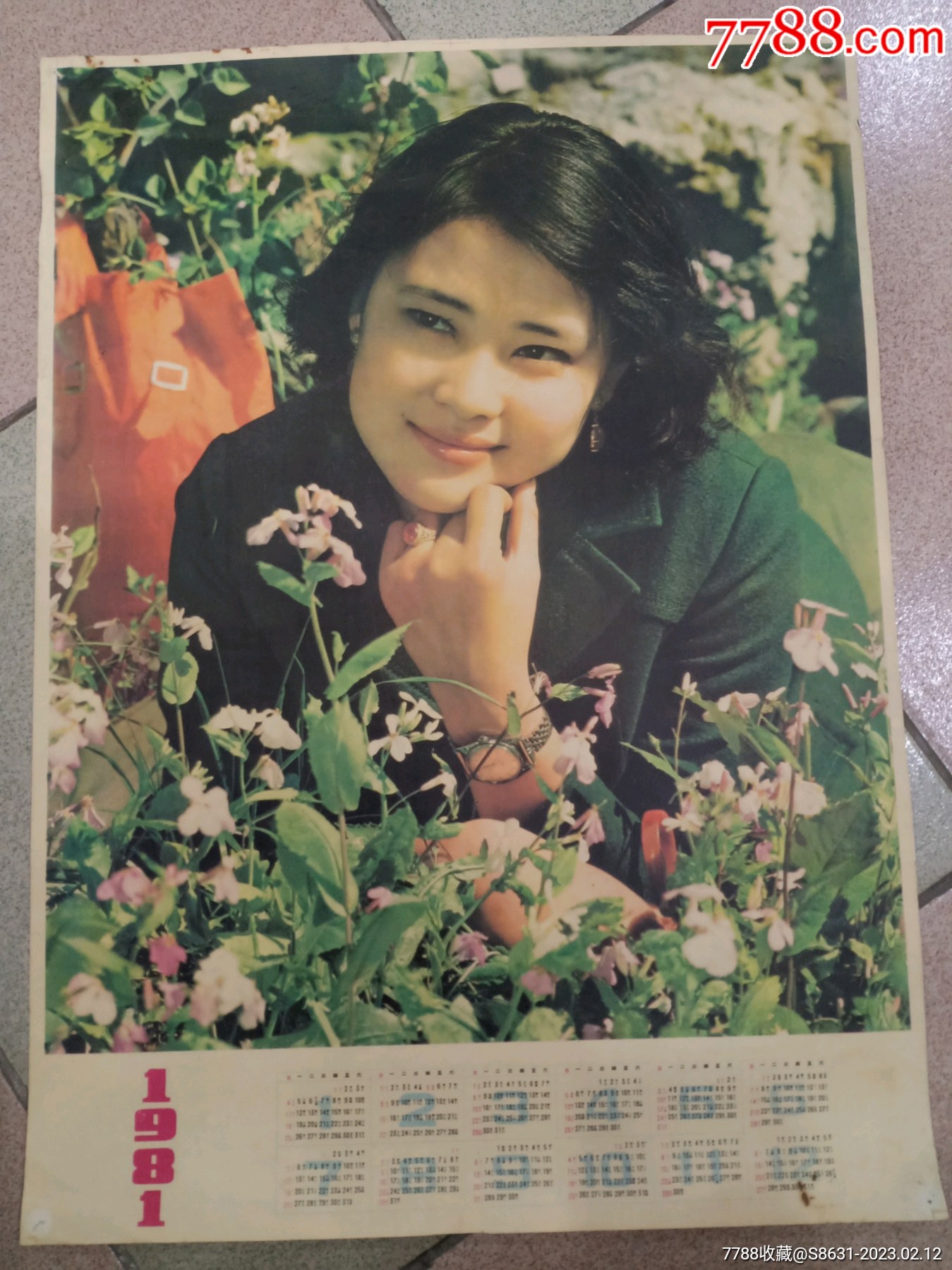 1981年影视明星年历画-价格:50元-se91909234-挂历/台历-零售-7788收藏__收藏热线