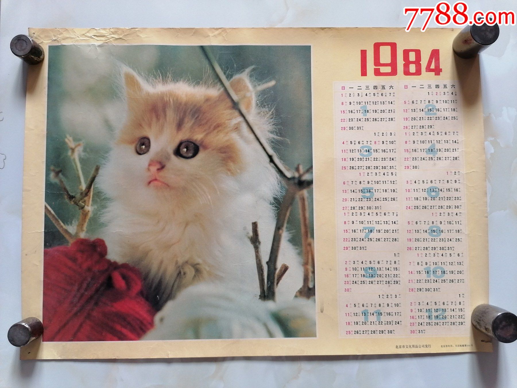 1984年历《猫》-价格:29元-se92129176-挂历/台历-零售-7788收藏__收藏热线