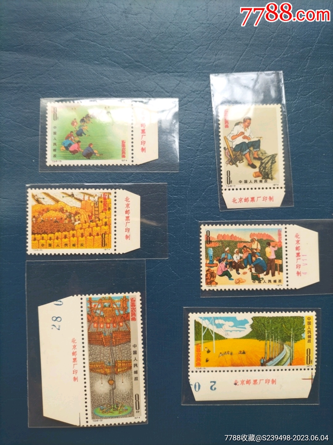 T3户县农民画邮票集邮收藏_“T”字邮票_南昌汇丰收藏【7788收藏__收藏热线】