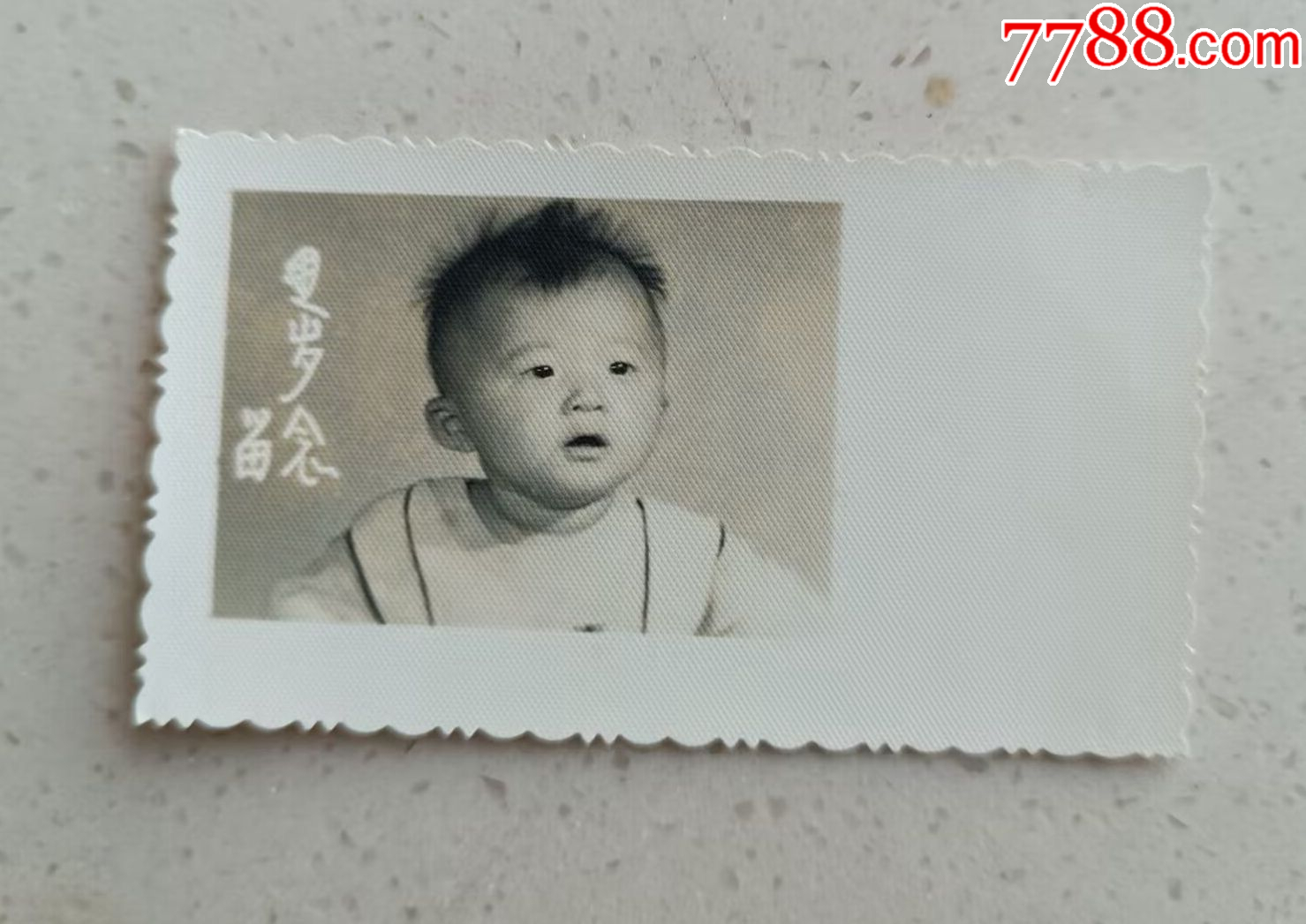 老照片19863-五十年代-满周岁小宝宝留影_老照片_新月书坊【7788收藏__收藏热线】