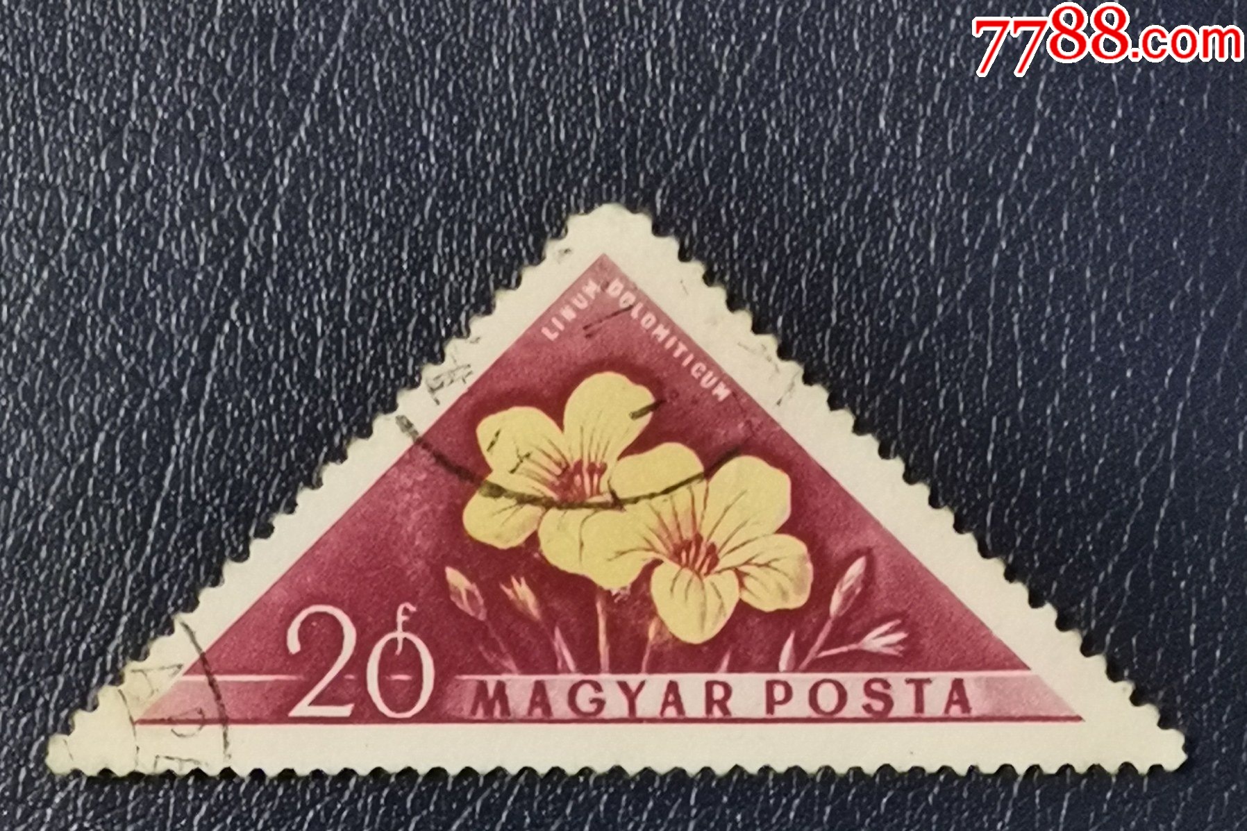 匈牙利1958年花卉，信销-价格:2元-se95251084-欧洲邮票-零售-7788收藏__收藏热线