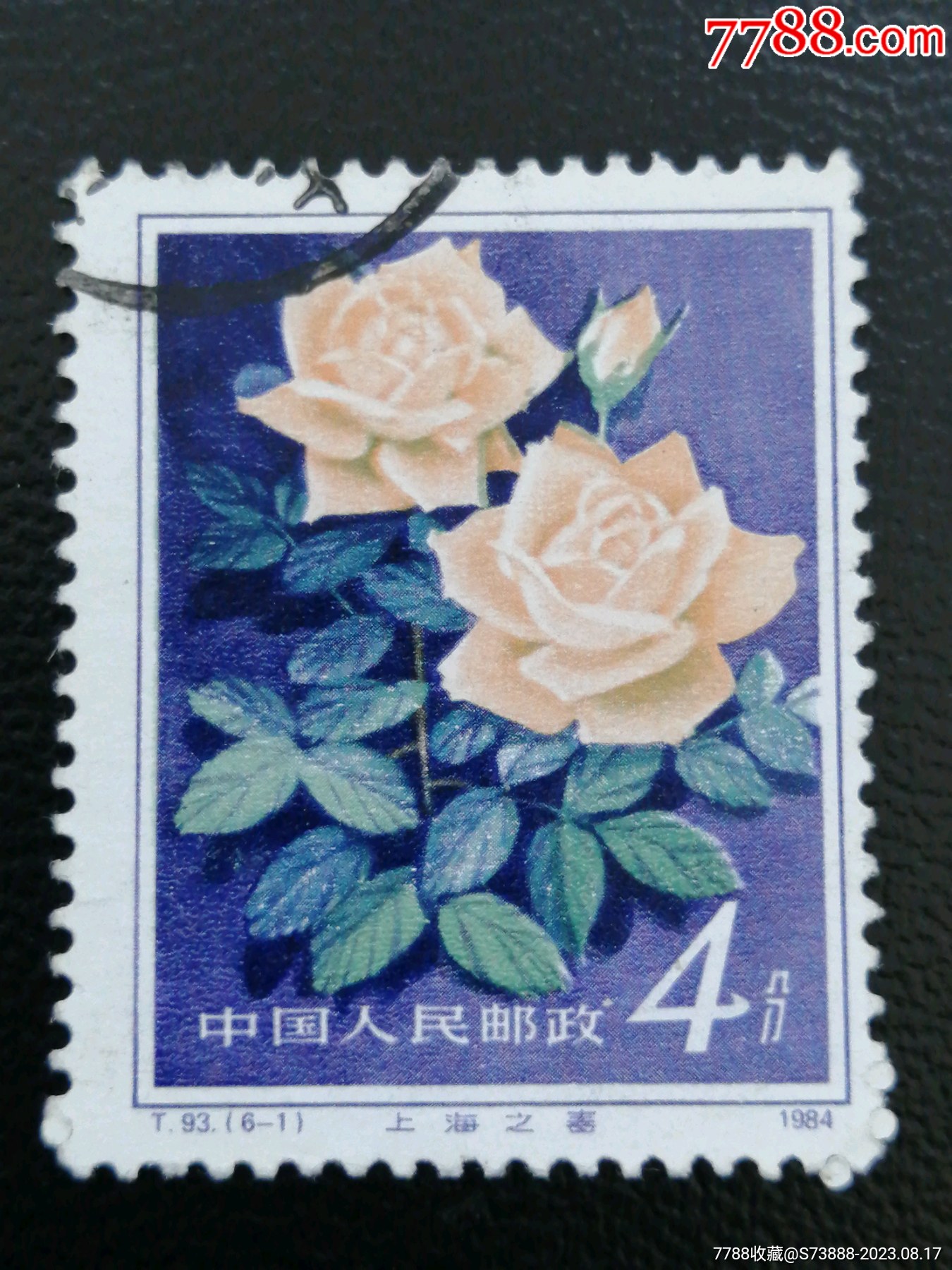 T93月季花(6-1)筋票邮票信销票上品新中国JT邮票收藏实物拍摄_“T”字邮票_我的业余爱好者【7788收藏__收藏热线】