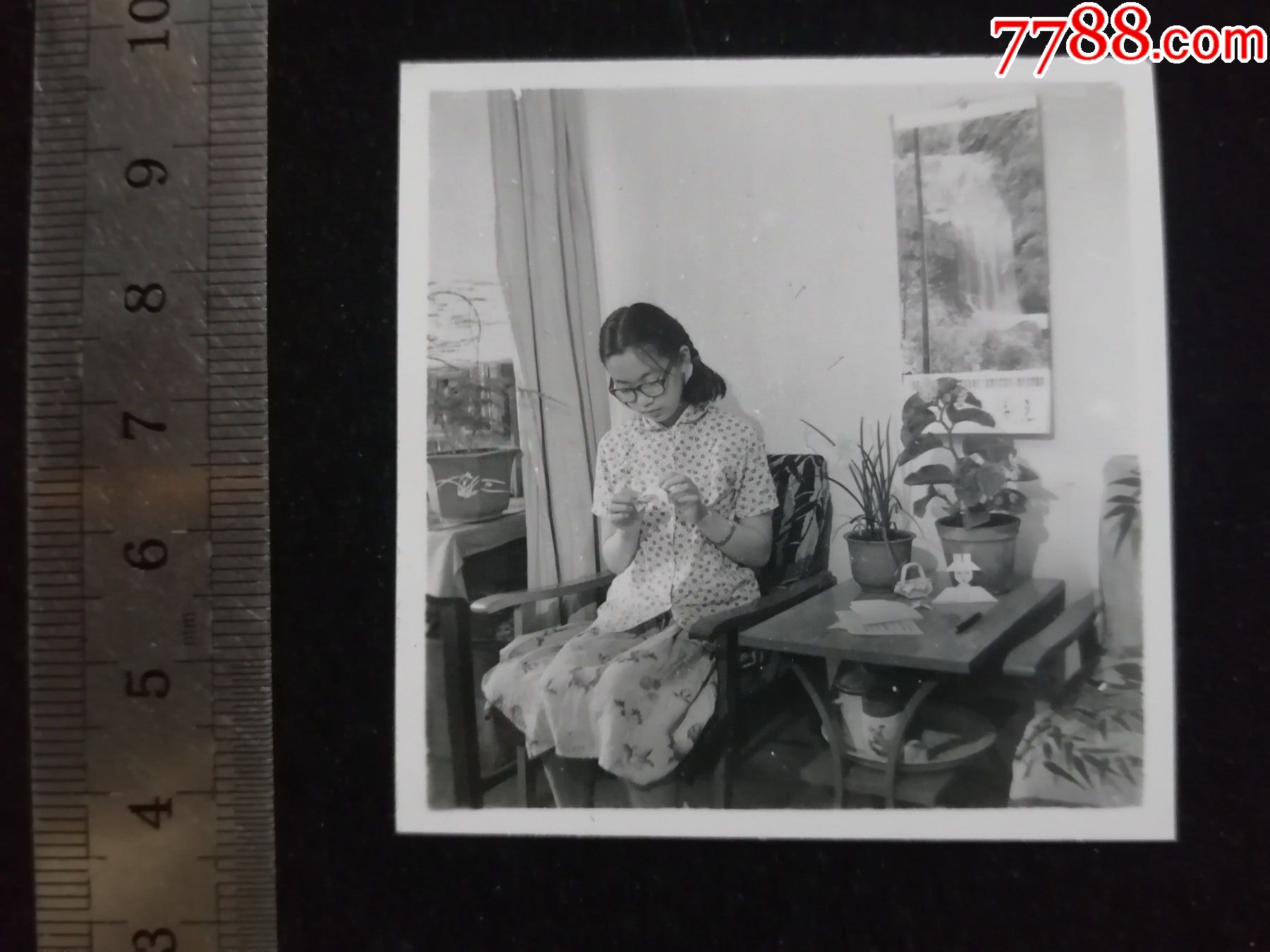 叠纸，沈阳31中学，1982年-价格:25元-se95678009-老照片-零售-7788收藏__收藏热线