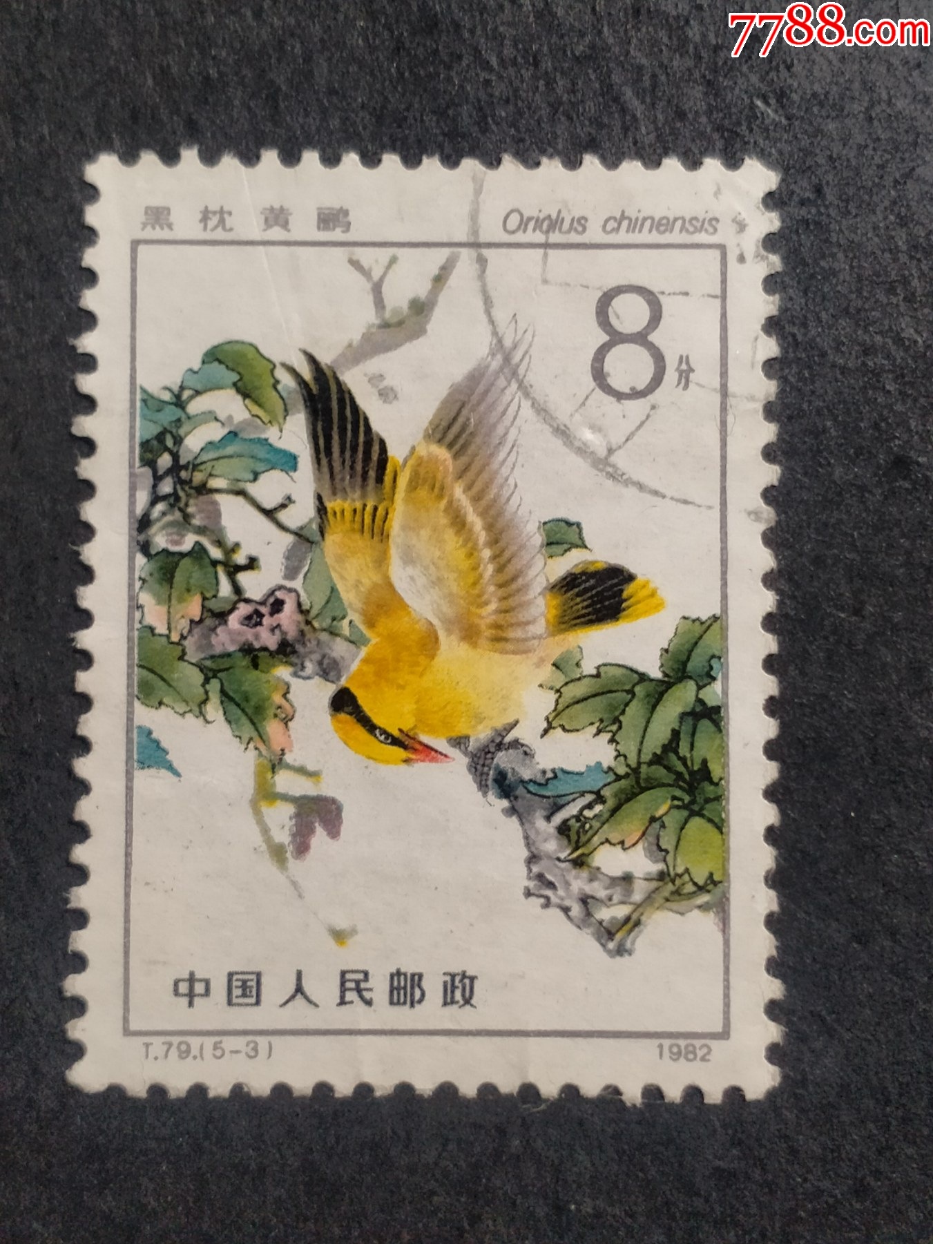 T79益鸟_“T”字邮票_琴屿书香【7788收藏__收藏热线】