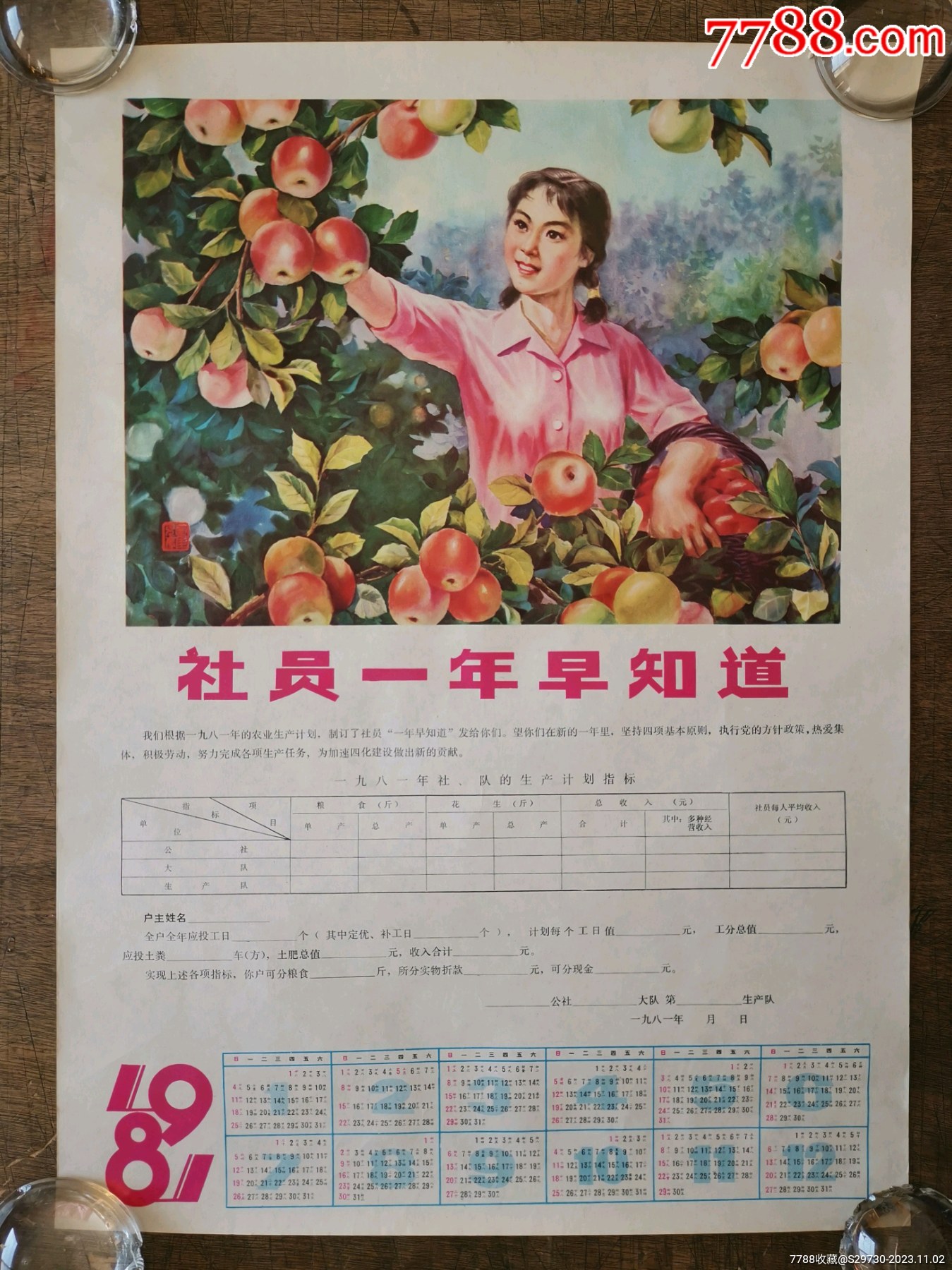 1981年年历表--社员一年早知道2_宣传画_金都红藏阁【7788收藏__收藏热线】