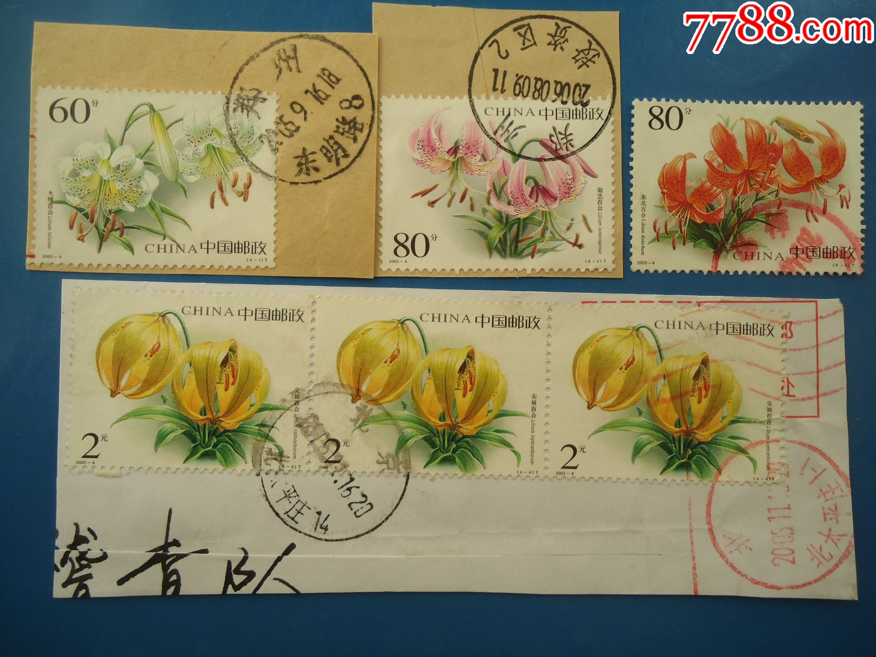 2003—4.《百合花》-价格:7元-se98446306-新中国邮票-零售-7788收藏__收藏热线