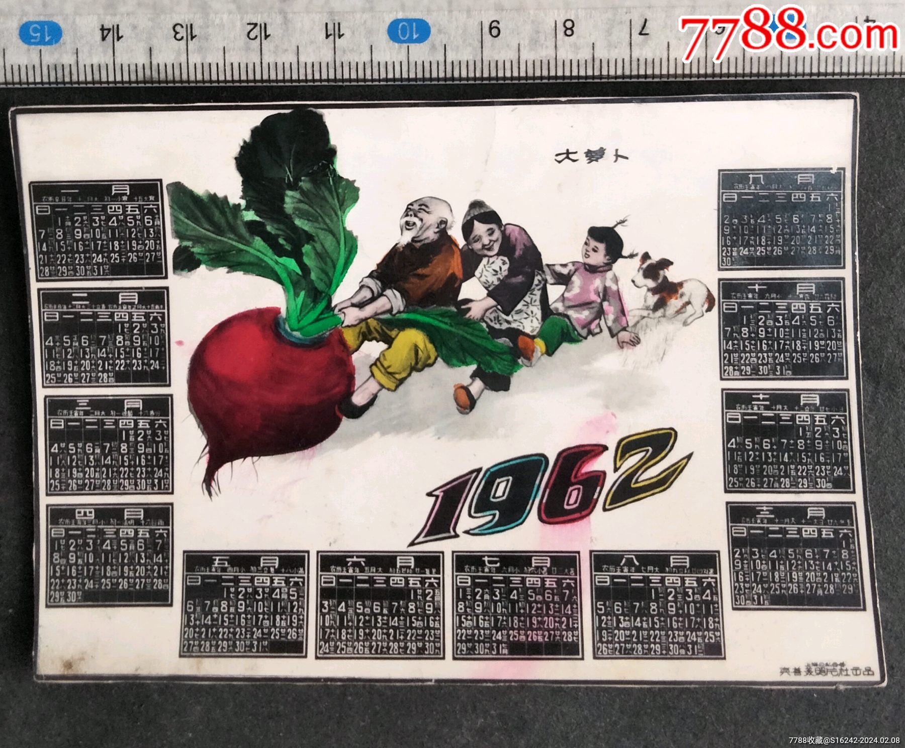 1962年大萝卜年历片-价格:25元-se98871363-年历卡/片-零售-7788收藏__收藏热线