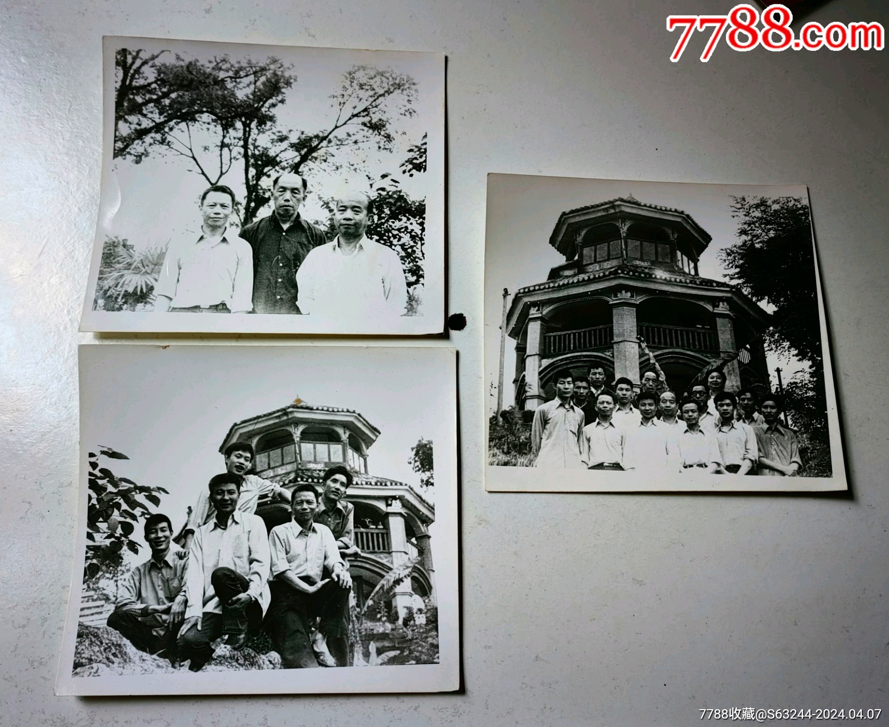 四川畜牧兽医系统题材3张（1984）-价格:33元-se99887770-老照片-零售-7788收藏__收藏热线