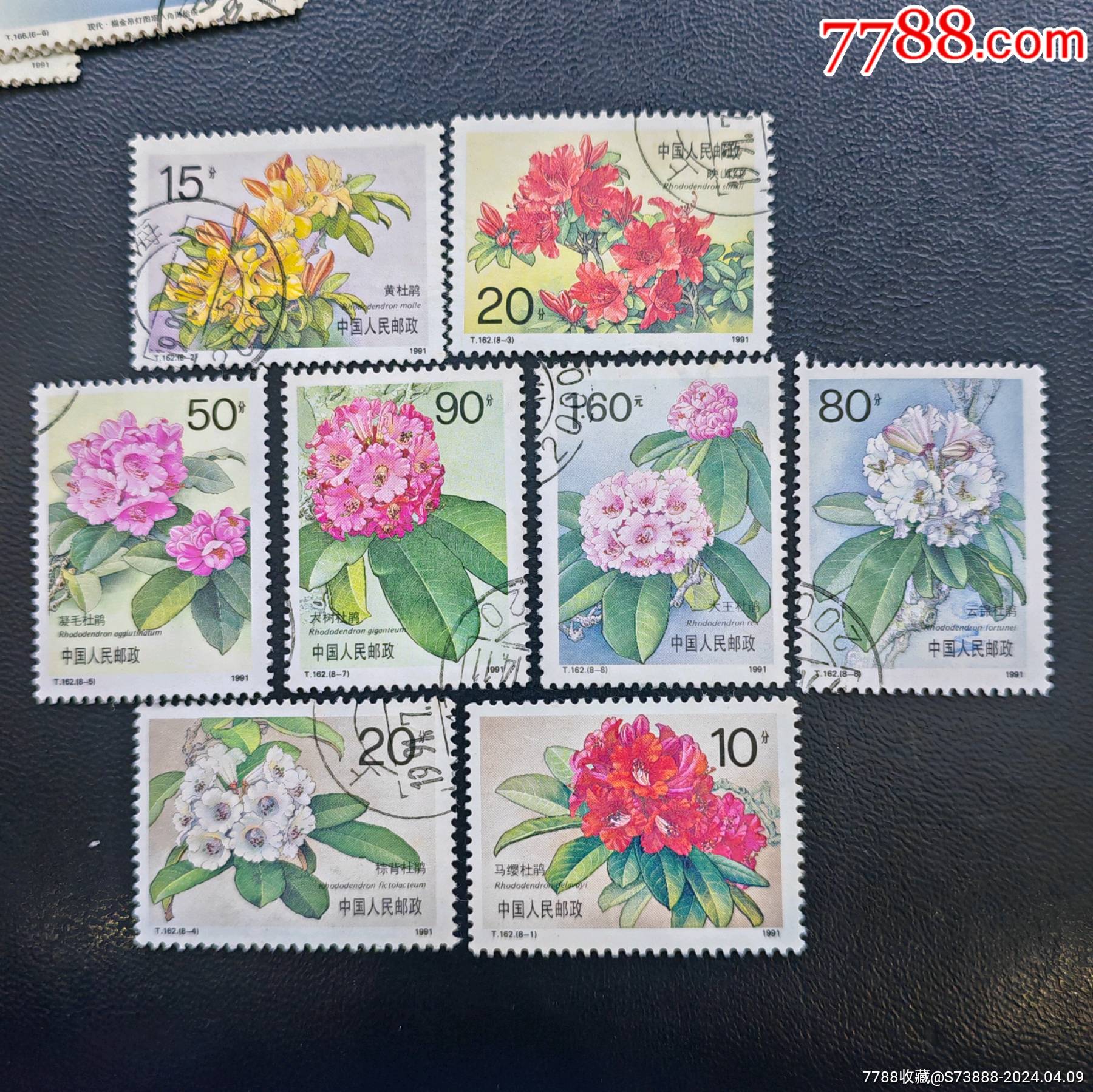 T162杜鹃花邮票信销票一套上品新中国JT邮票收藏实物拍摄-价格:25元-se99912880-新中国邮票-零售-7788收藏__收藏热线