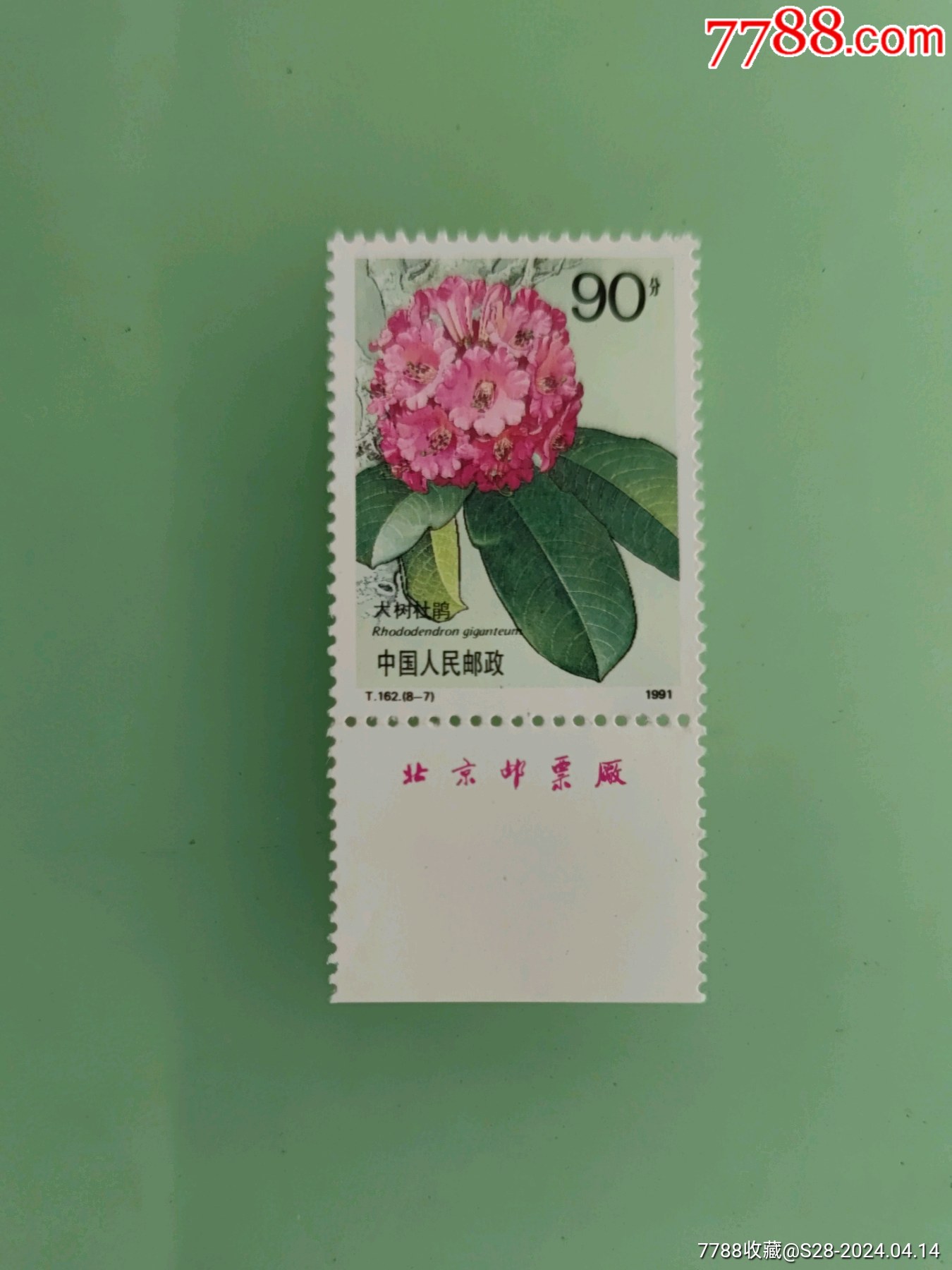 T162-7大树杜鹃（厂铭票）_“T”字邮票_大众收藏【7788收藏__收藏热线】