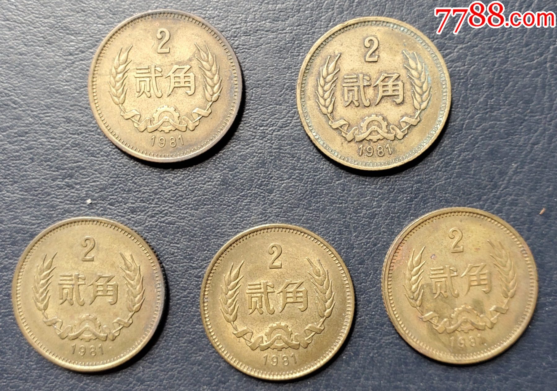 1981年2角五枚-价格:600元-se100203579-硬币（人民币）-零售-7788收藏__收藏热线