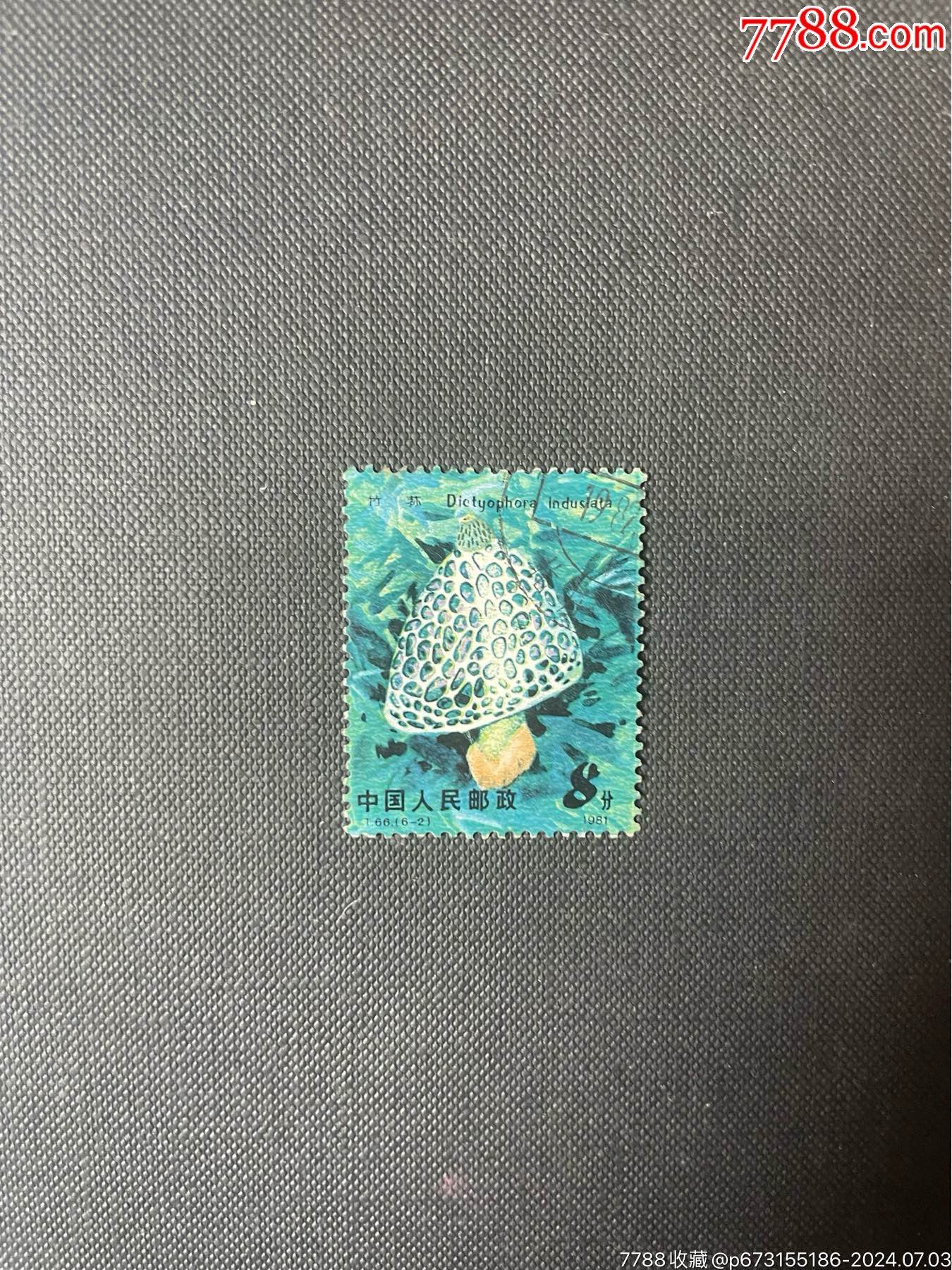 1981年T66食用菌蘑菇-价格:7元-se101496928-新中国邮票-零售-7788收藏__收藏热线