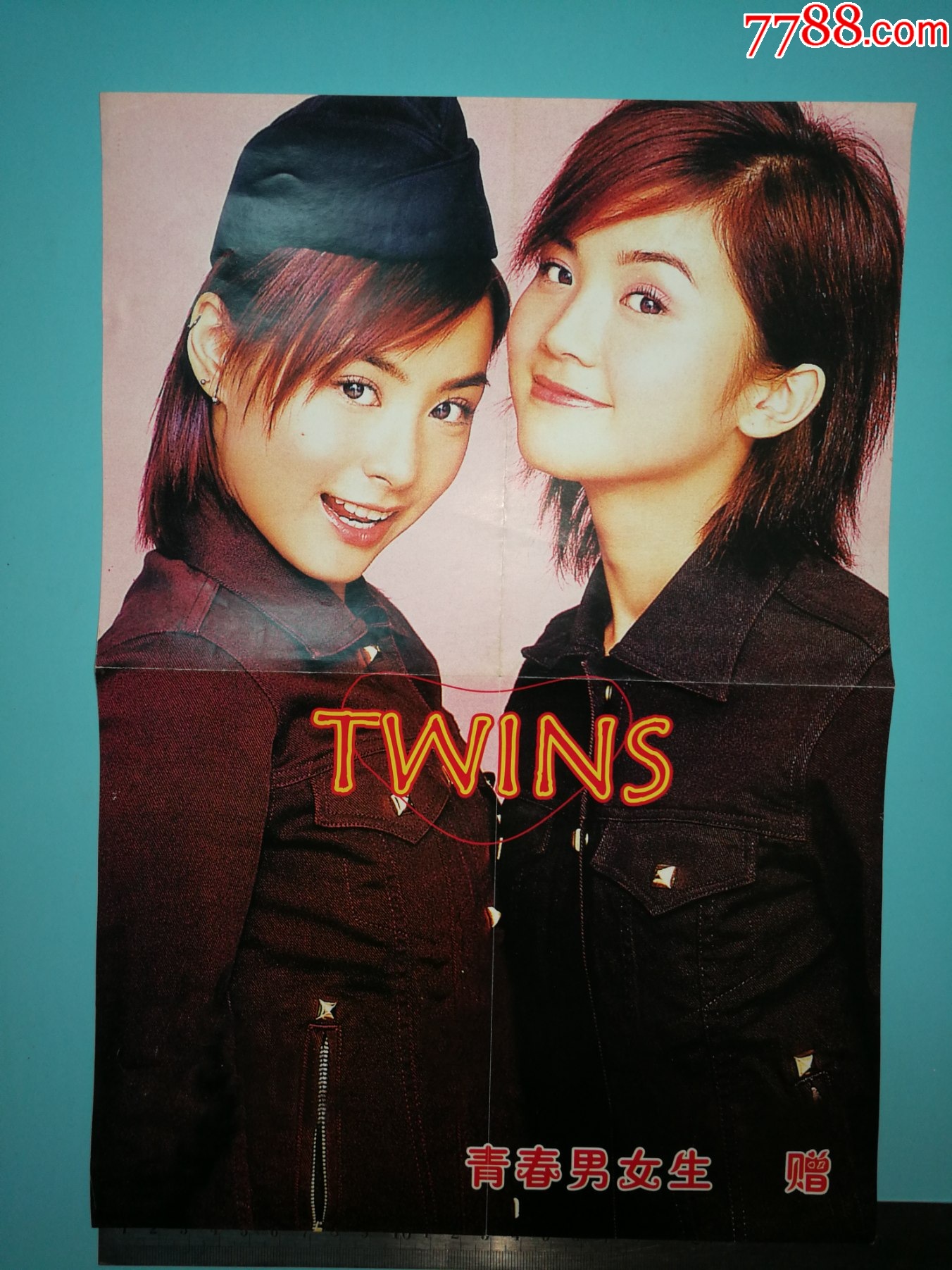Twins海报青春男女生赠送_年画/宣传画_怡心小屋【7788收藏__收藏热线】