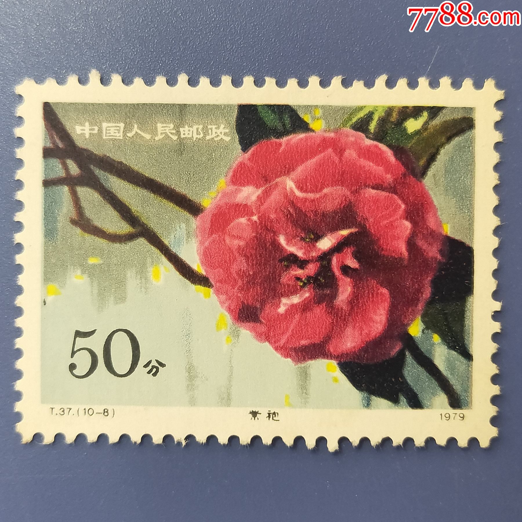 T37(10-8)：山茶花邮票-价格:10元-se102727891-新中国邮票-零售-7788收藏__收藏热线