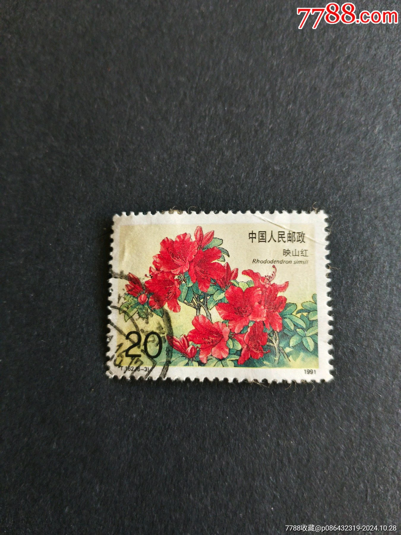 JT信销票-价格:1元-se103458564-新中国邮票-零售-7788收藏__收藏热线