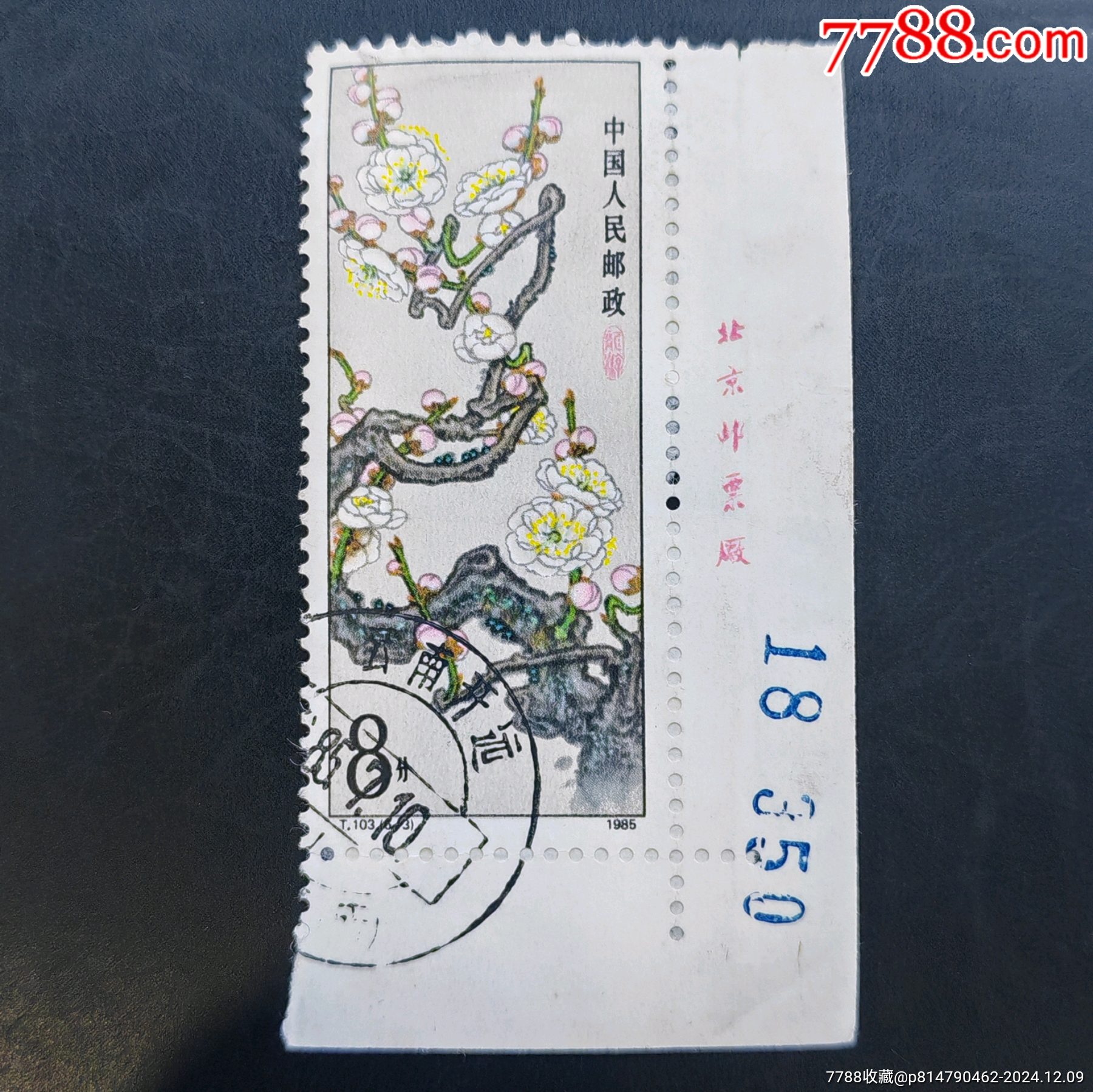 T103梅花(6-3)右下直角边带厂铭版号邮票信销票上品背纸没有洗净-价格:22元-se104179377-新中国邮票-零售-7788收藏__收藏热线
