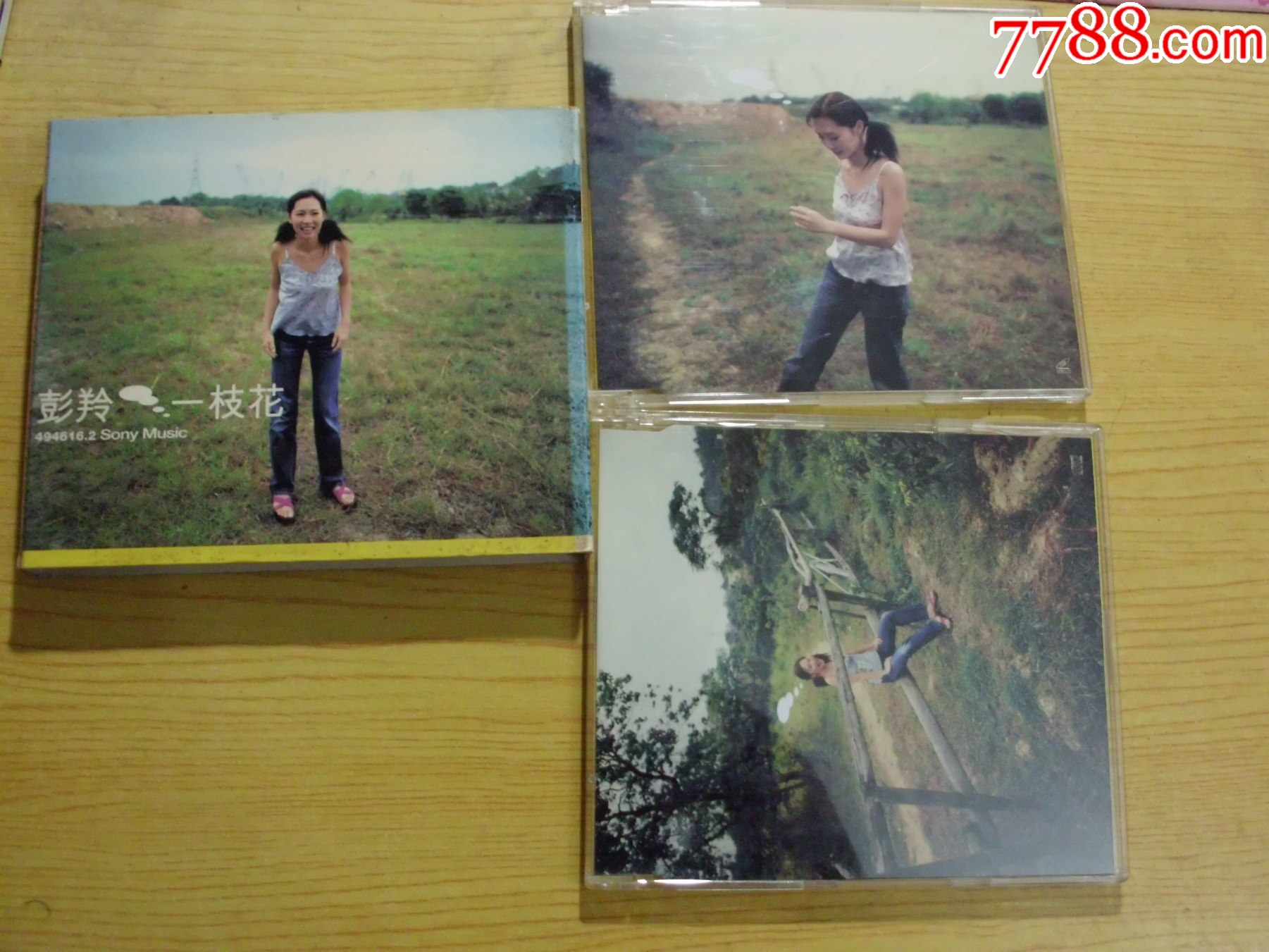 彭羚：一枝花（CD+VCD）_音乐CD_宝大洋【7788收藏__收藏热线】