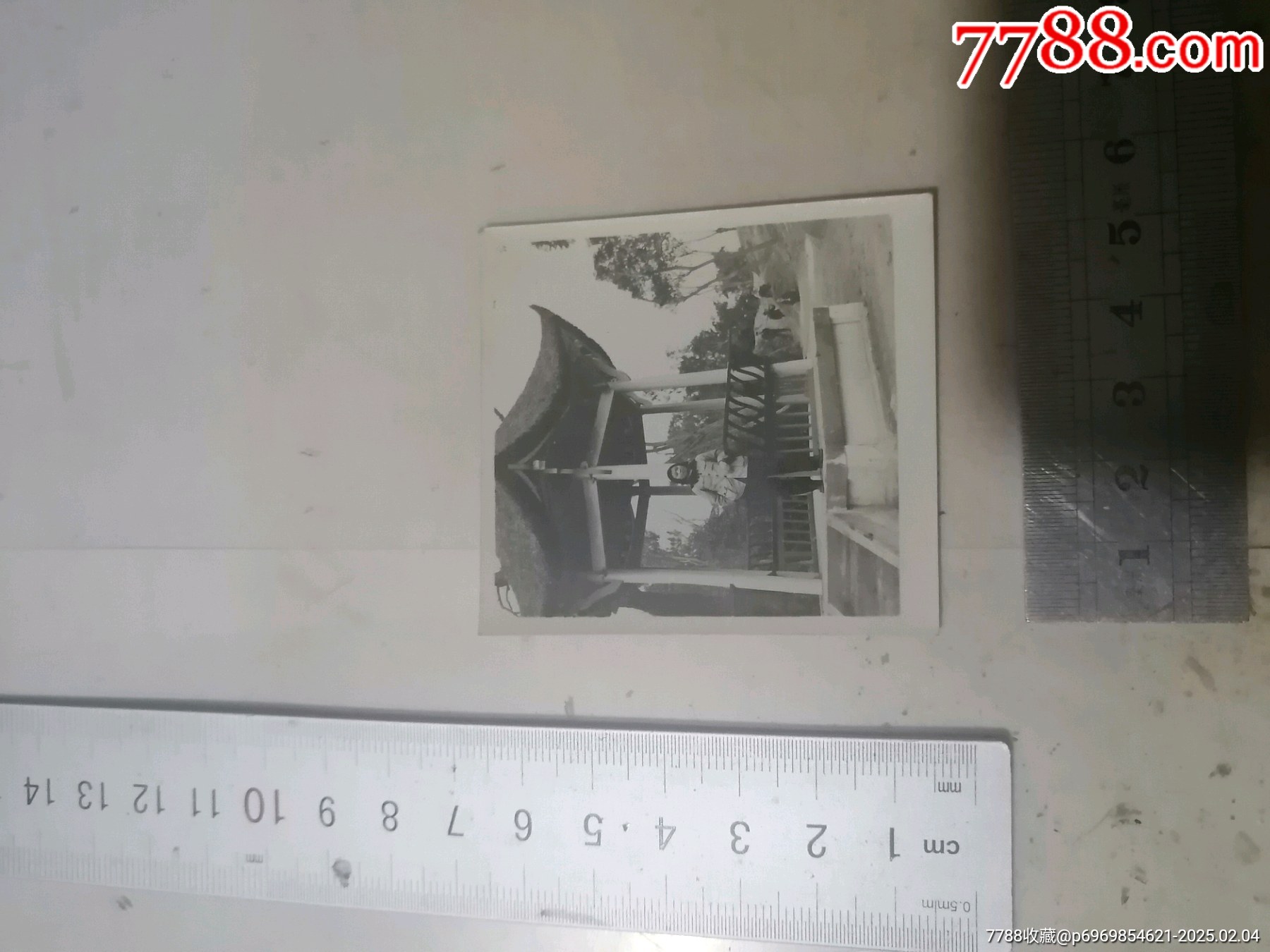 1957年美女广汉县公园留影-价格:3元-se105021176-老照片-零售-7788收藏__收藏热线