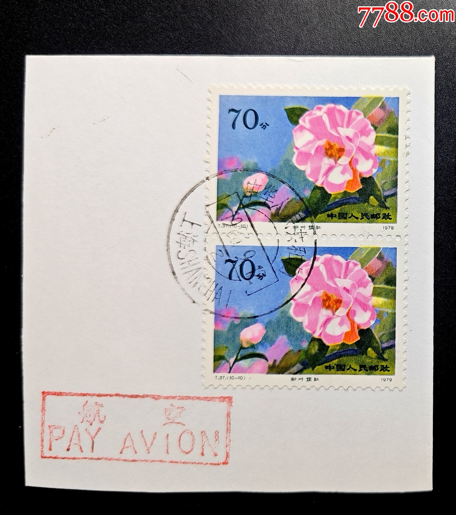 T37山茶花(10-10)70分邮票信销双联剪片（上海海关戳）-价格:60元-se105433878-新中国邮票-零售-7788收藏__收藏热线