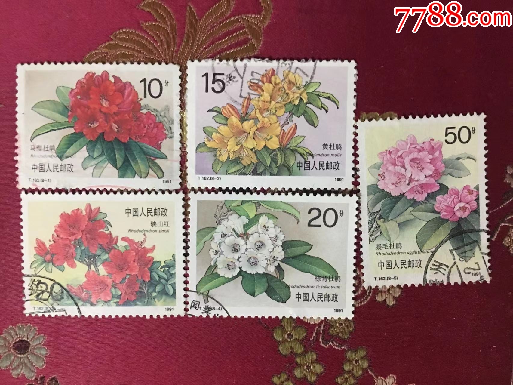 91年T162《杜鹃花》8-1、-2、-3、-4、-5信销票五枚_“T”字邮票_冠子自藏按图发【7788收藏__收藏热线】