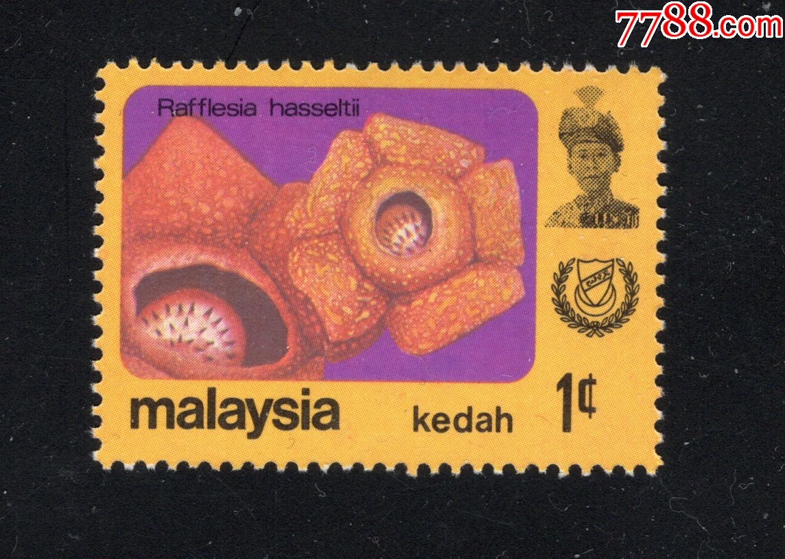 马来亚吉打信销票1979年花卉7-1：大王花-亚洲邮票-7788商城__七七八八商品交易平台(7788.com)