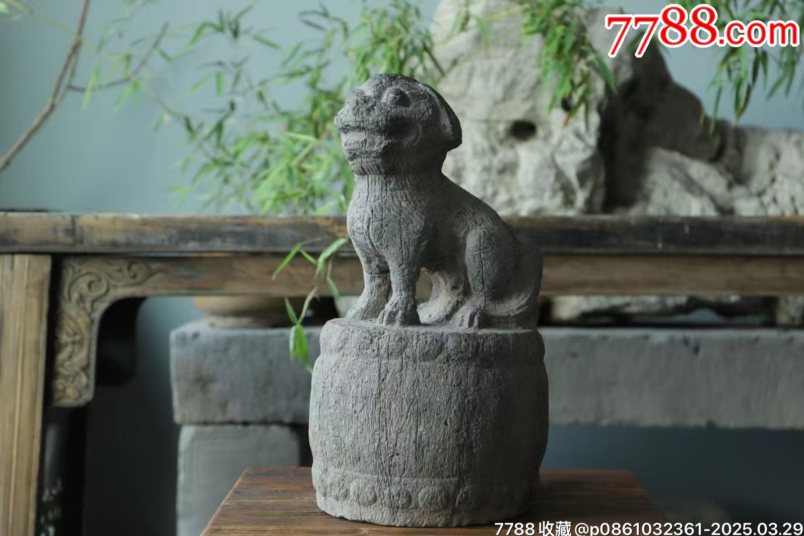 精品案上小石狮，站立在一小石鼓上，炯炯有神，完整漂亮，总高50公分-价格:5300元-se105890795-石狮/石雕塑-零售-7788收藏__收藏热线