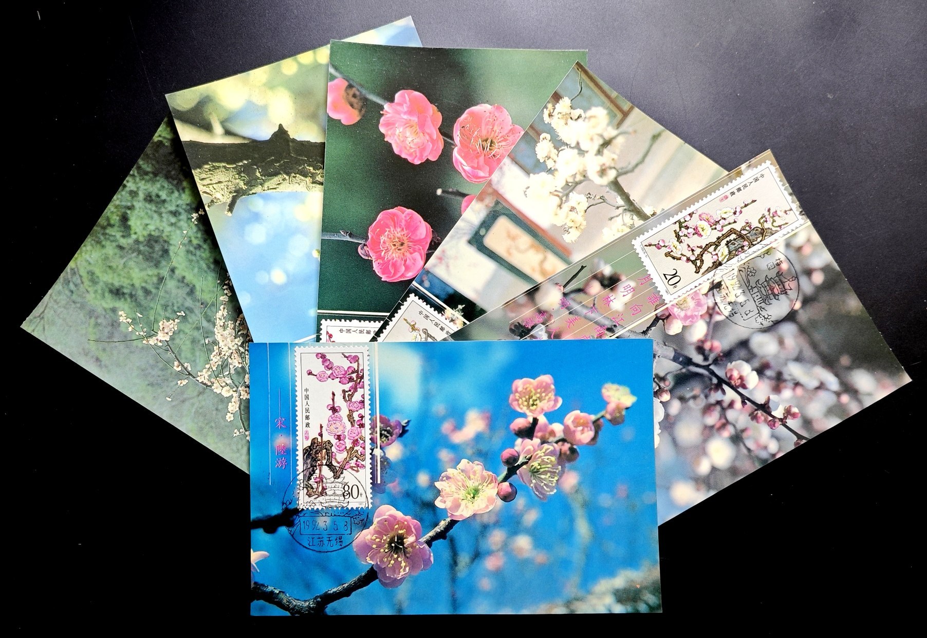 T103《梅花》邮票极限明信片一套6枚_明信片/邮资片_图片欣赏_收藏价值_7788明信片收藏