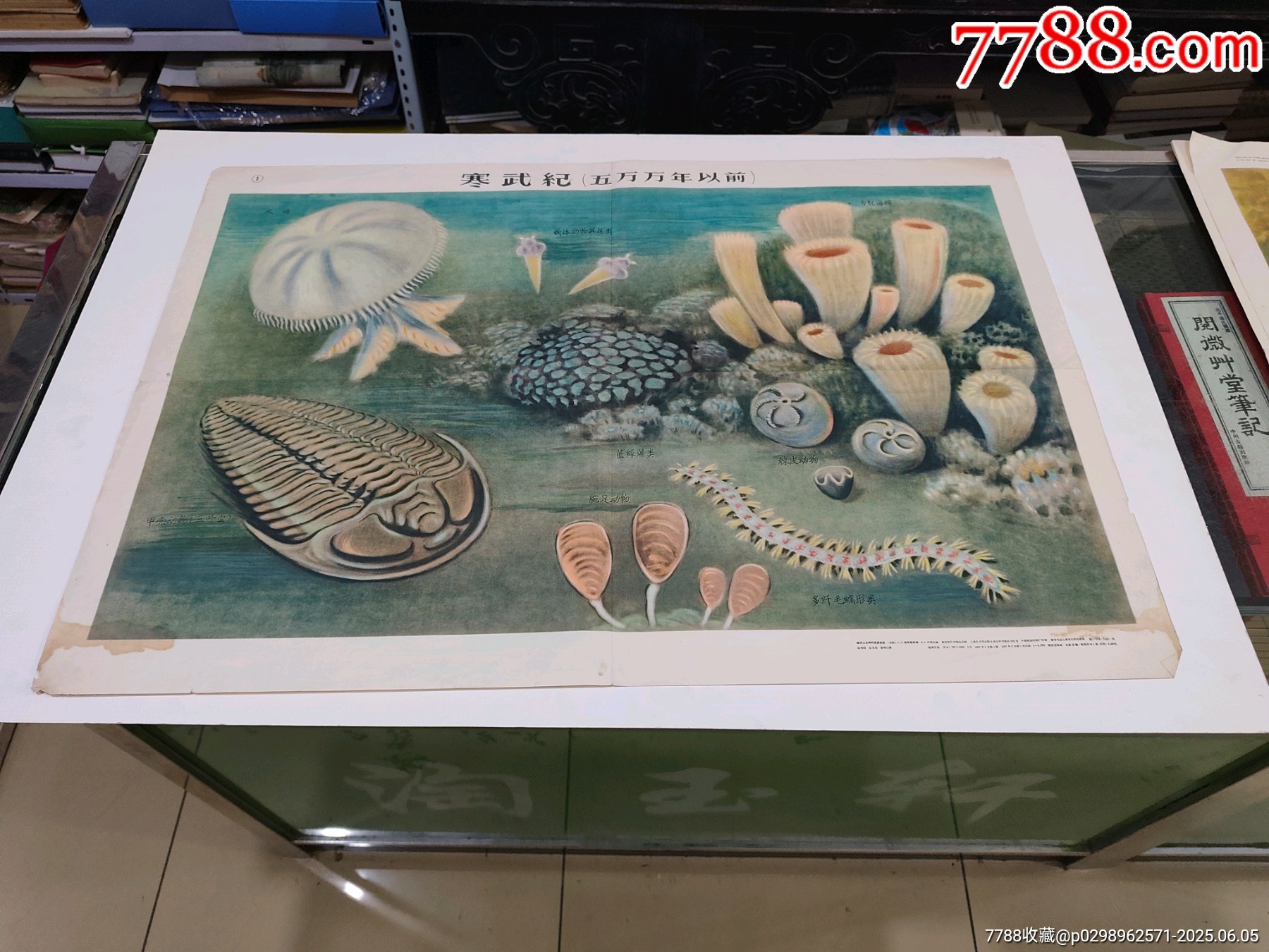 寒武纪-价格:196元-se107035713-教学挂图-零售-7788收藏__收藏热线