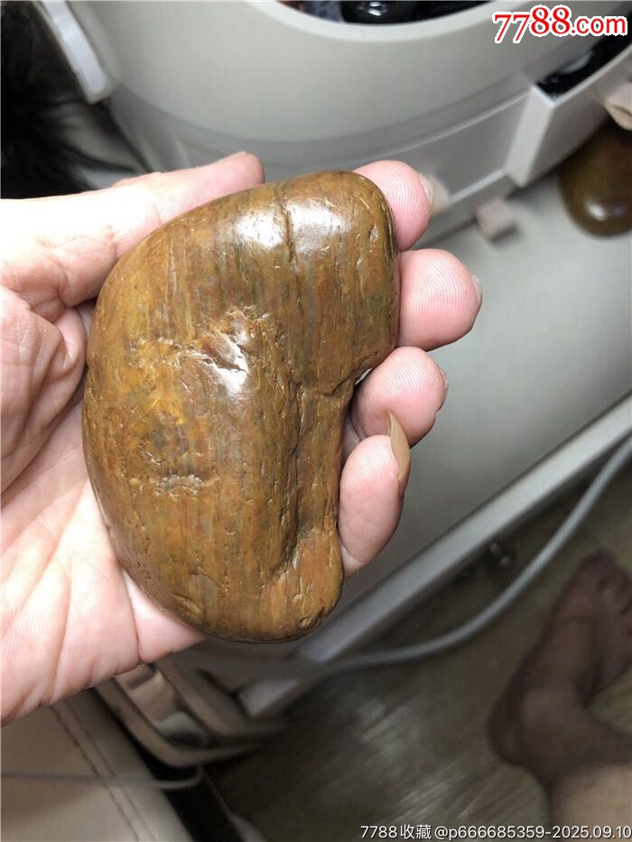 树化玉-动植物化石-7788商城__七七八八商品交易平台(7788.com)