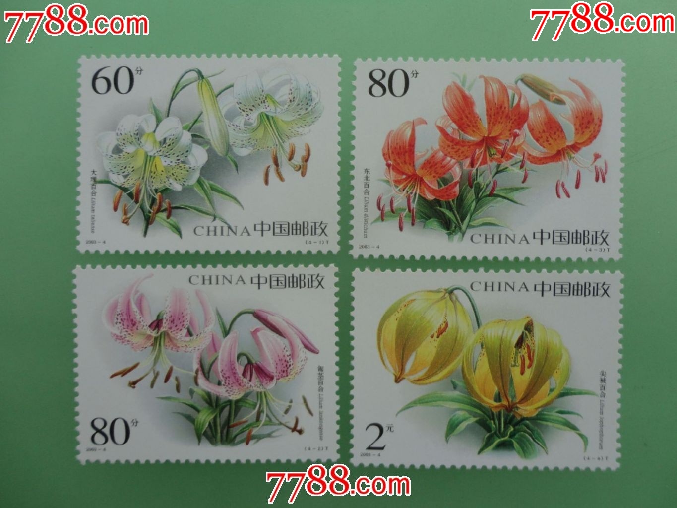 2003-4百合花4全-单价:元-wh290017-新中国邮票 -批发 -7788收藏__收藏热线