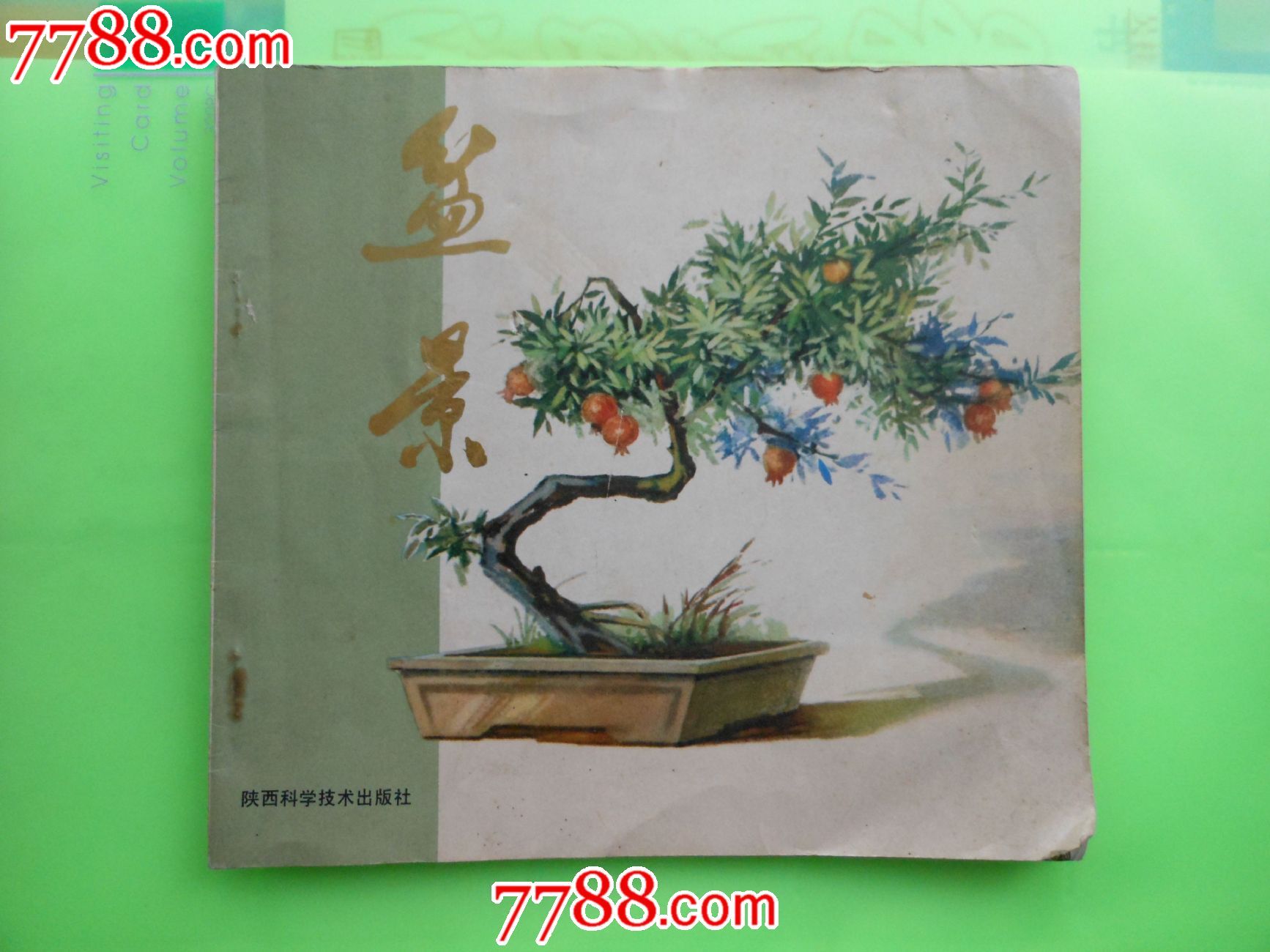 盆景_手册/工具书_大众收藏【7788收藏】
